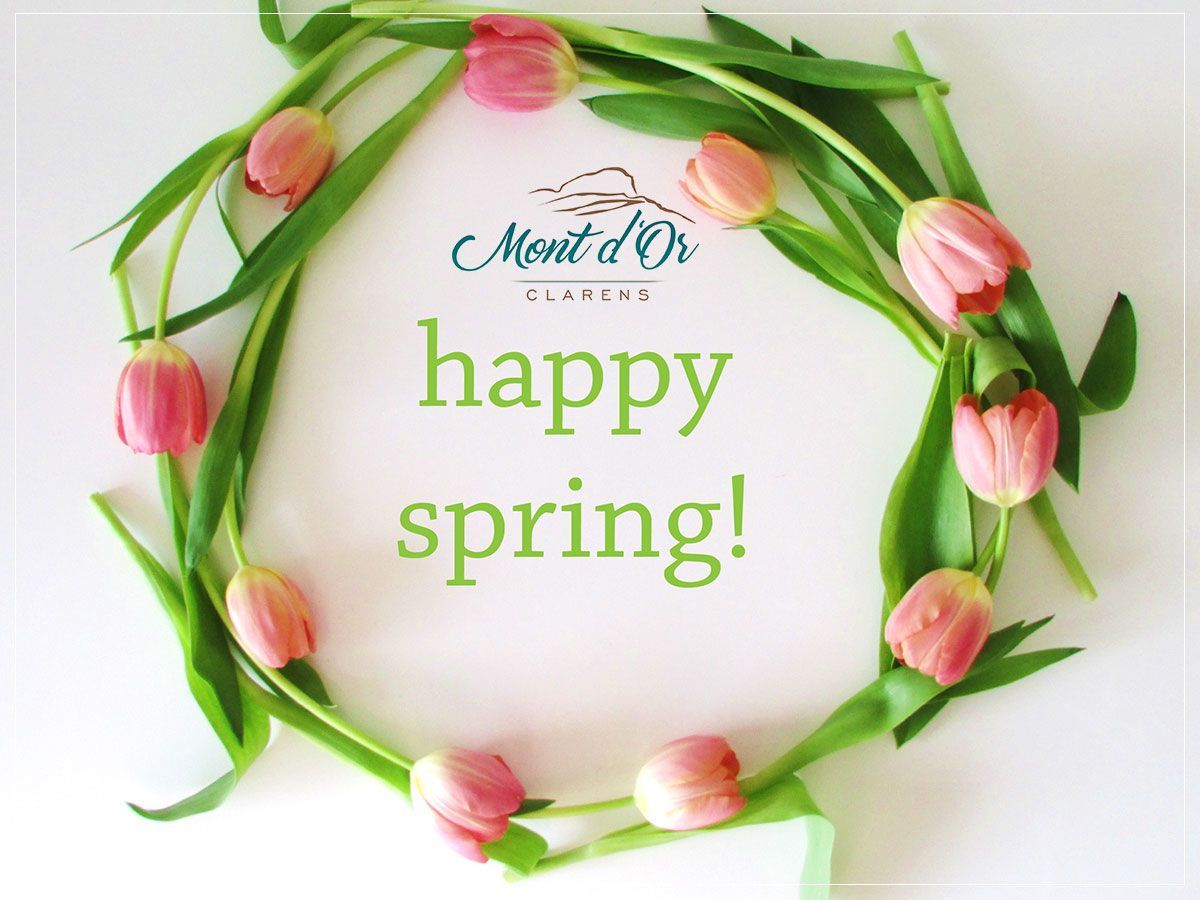 I Smell Spring Wallpapers - Wallpaper Cave