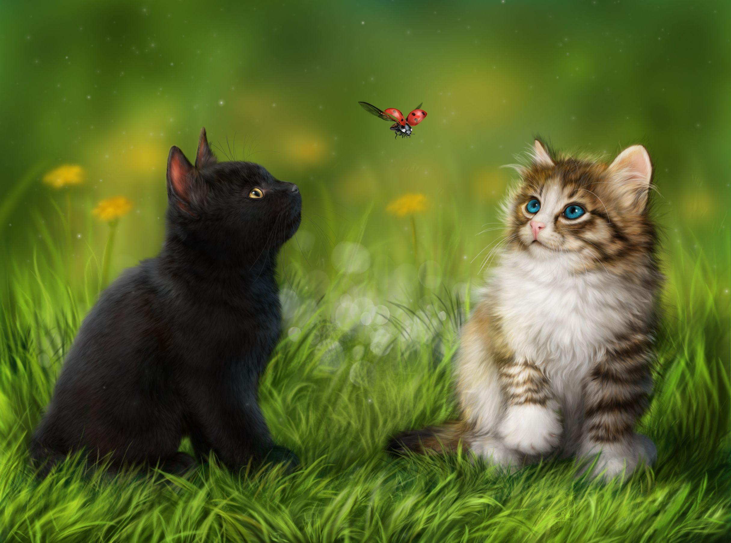 Kitten Spring Wallpapers - Wallpaper Cave