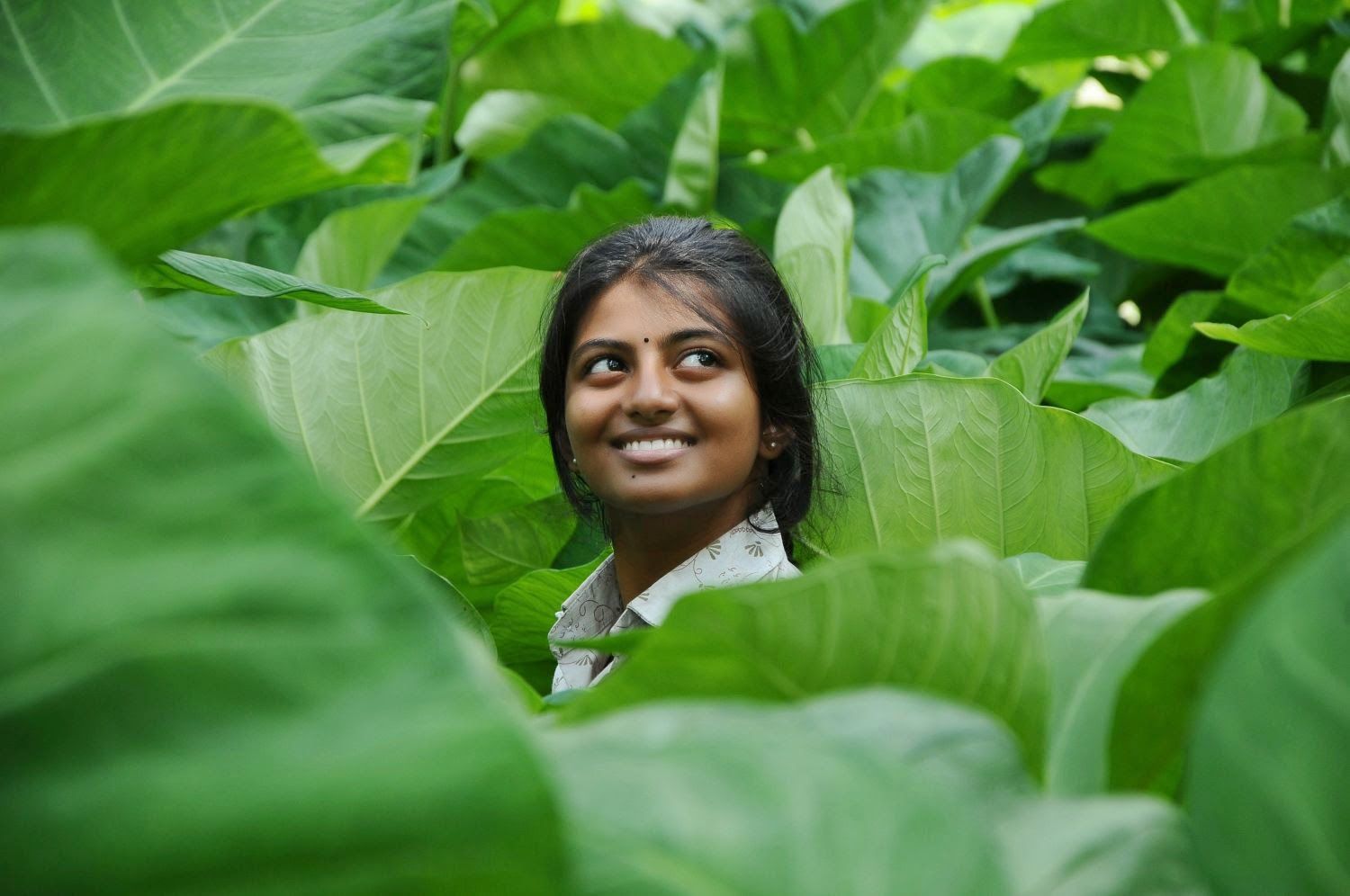 Kayal Movie Wallpapers - Wallpaper Cave