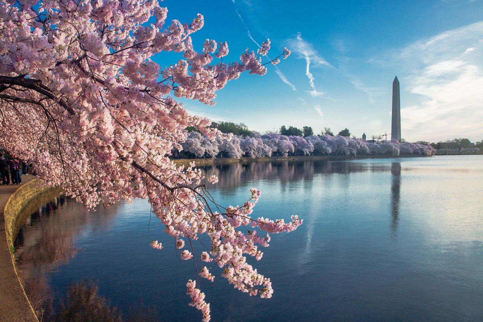 Spring Sea Wallpapers - Wallpaper Cave