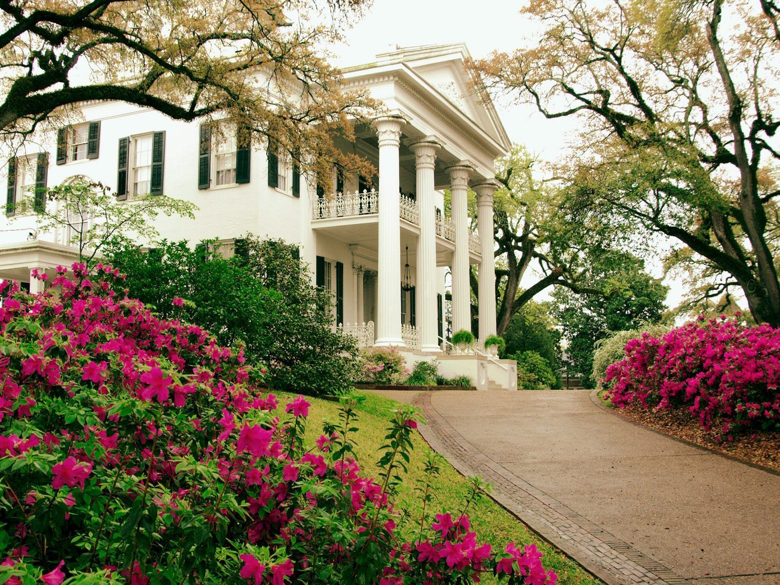 Southern Plantation Wallpaper