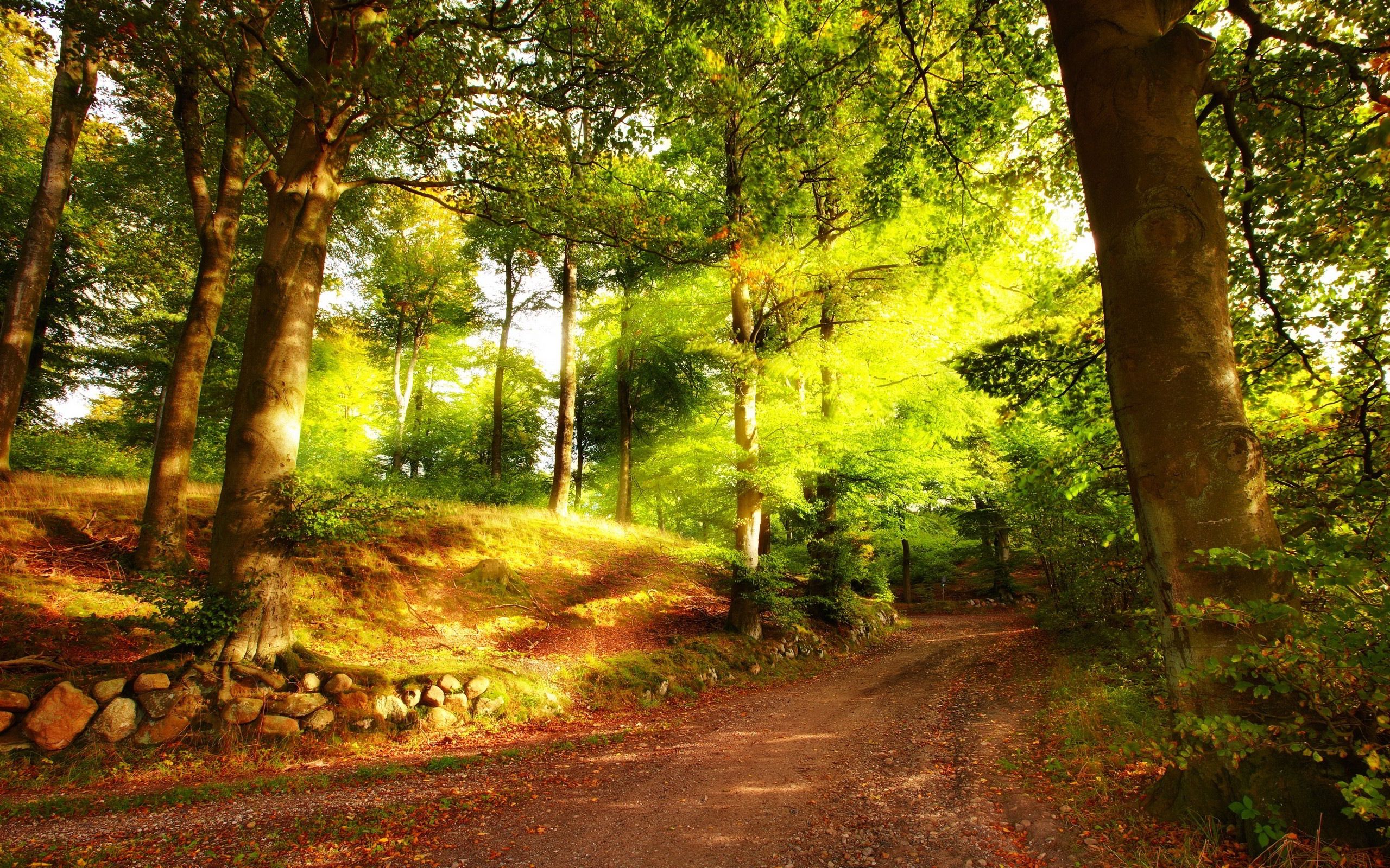 Summer Roads Wallpapers - Wallpaper Cave