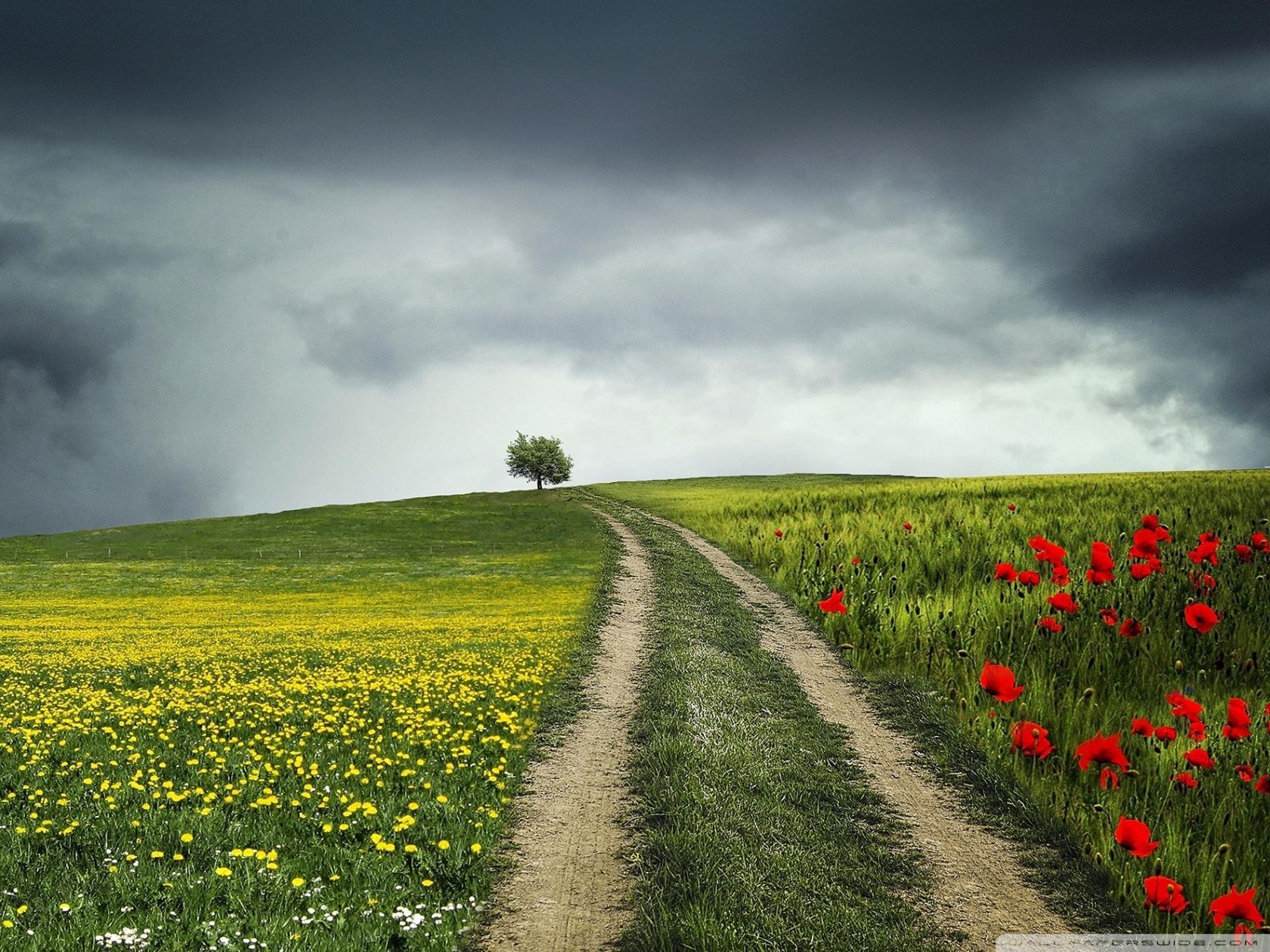 Road Summer Wallpapers - Wallpaper Cave