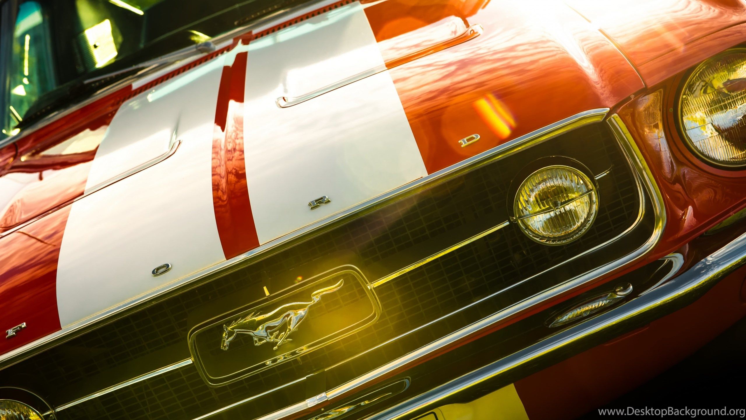 Bumper Wallpapers - Wallpaper Cave