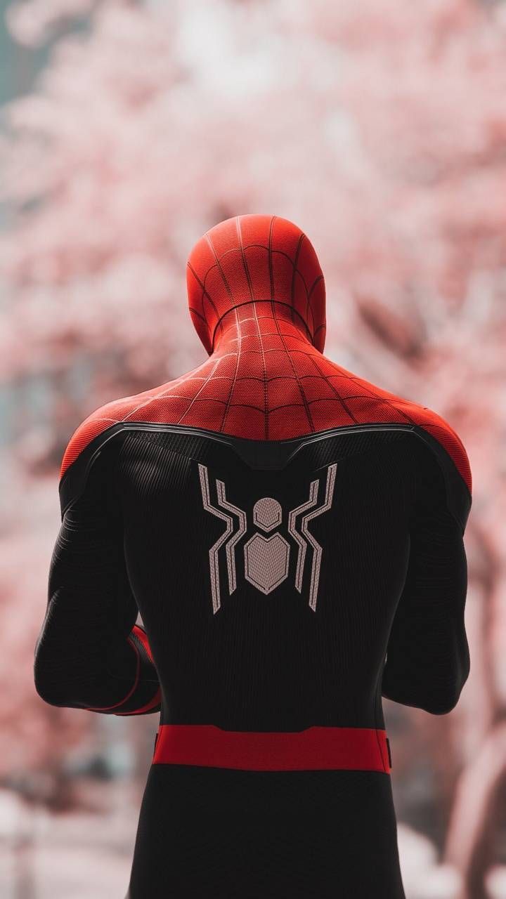 Spider-man Peter Parker Wallpapers - Wallpaper Cave