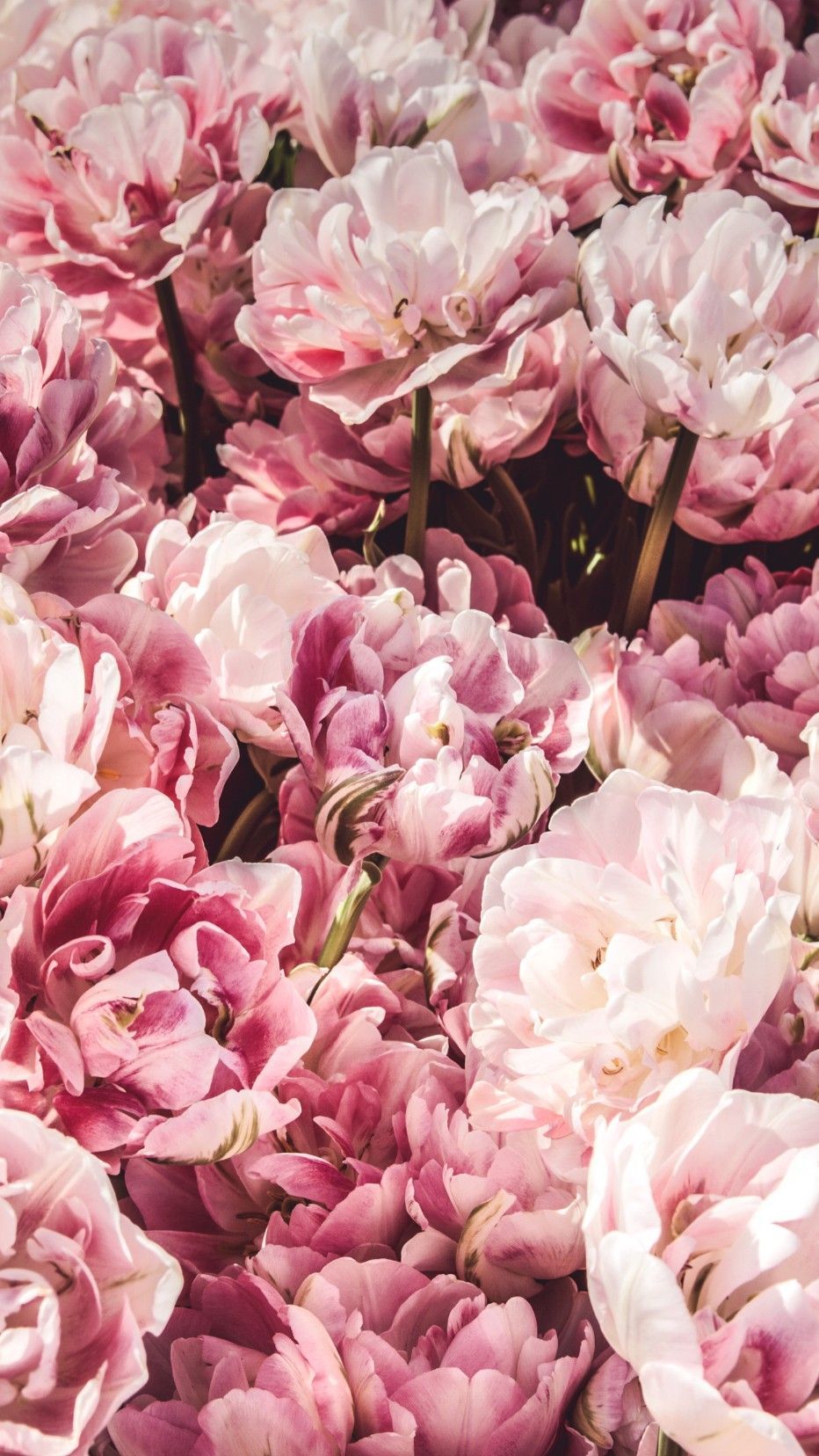 Organic Flower Wallpapers - Wallpaper Cave