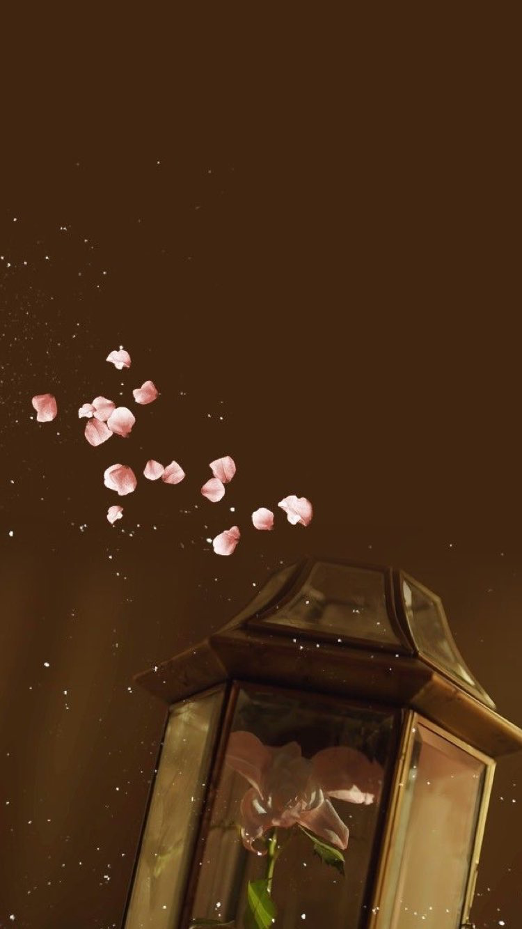 BTS MV Wallpapers - Wallpaper Cave