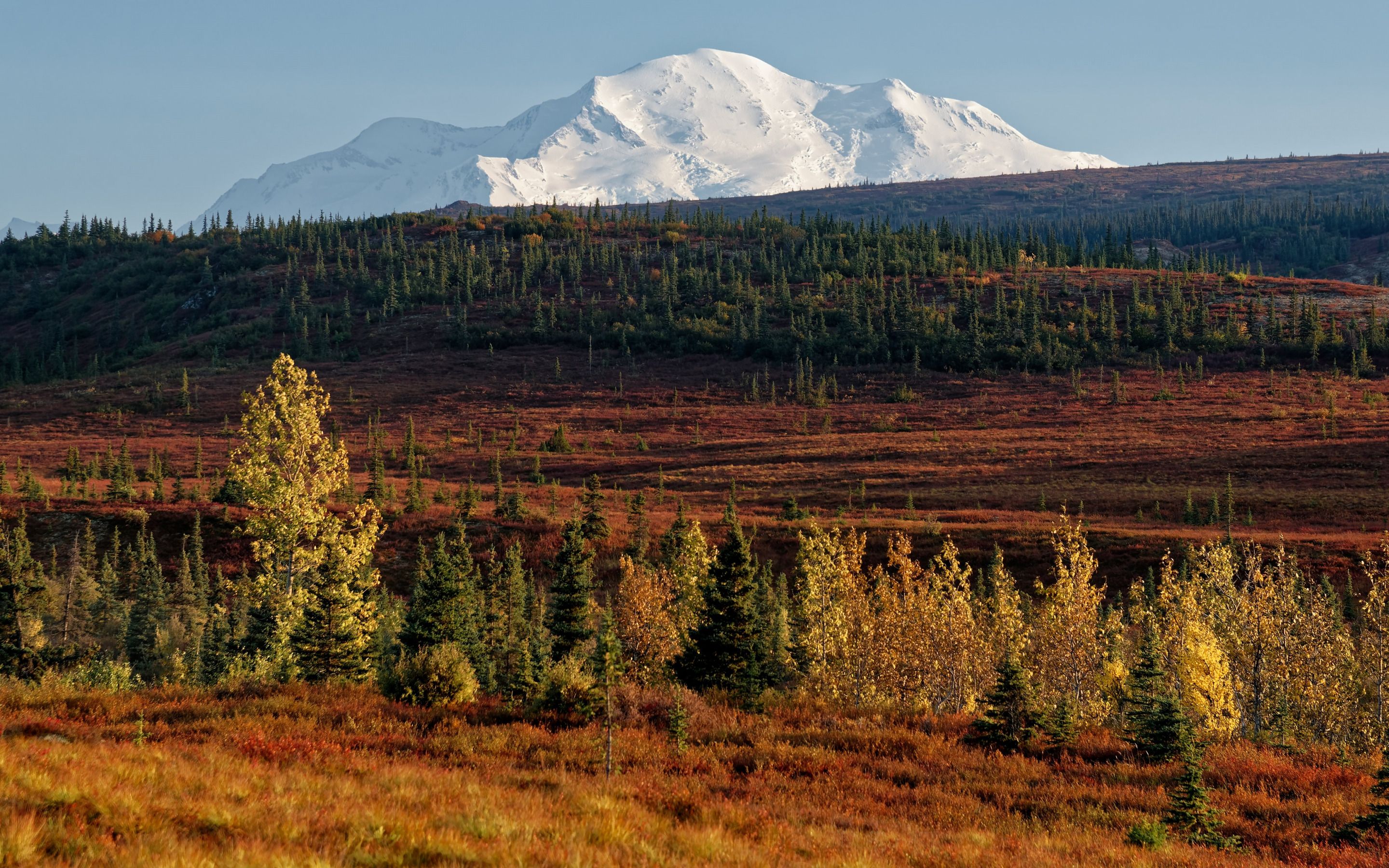 Spring USA Wallpapers - Wallpaper Cave