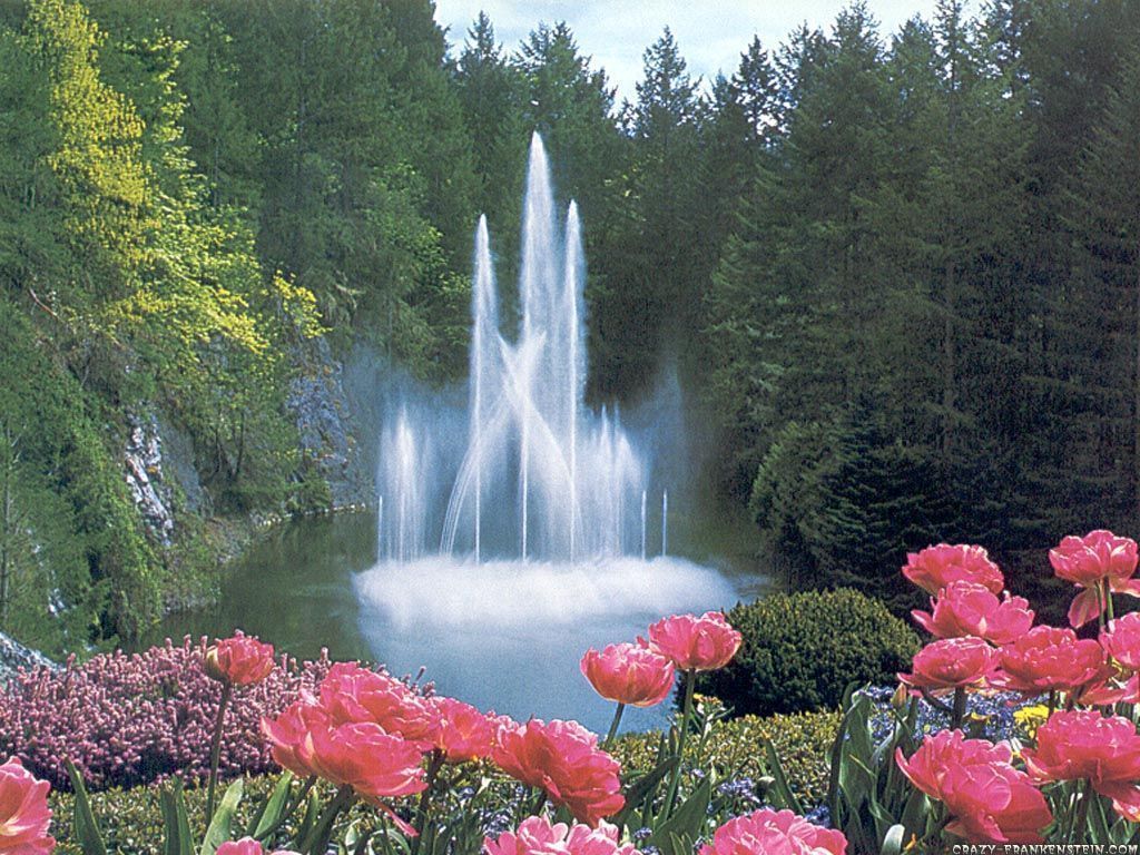 Spring USA Wallpapers - Wallpaper Cave