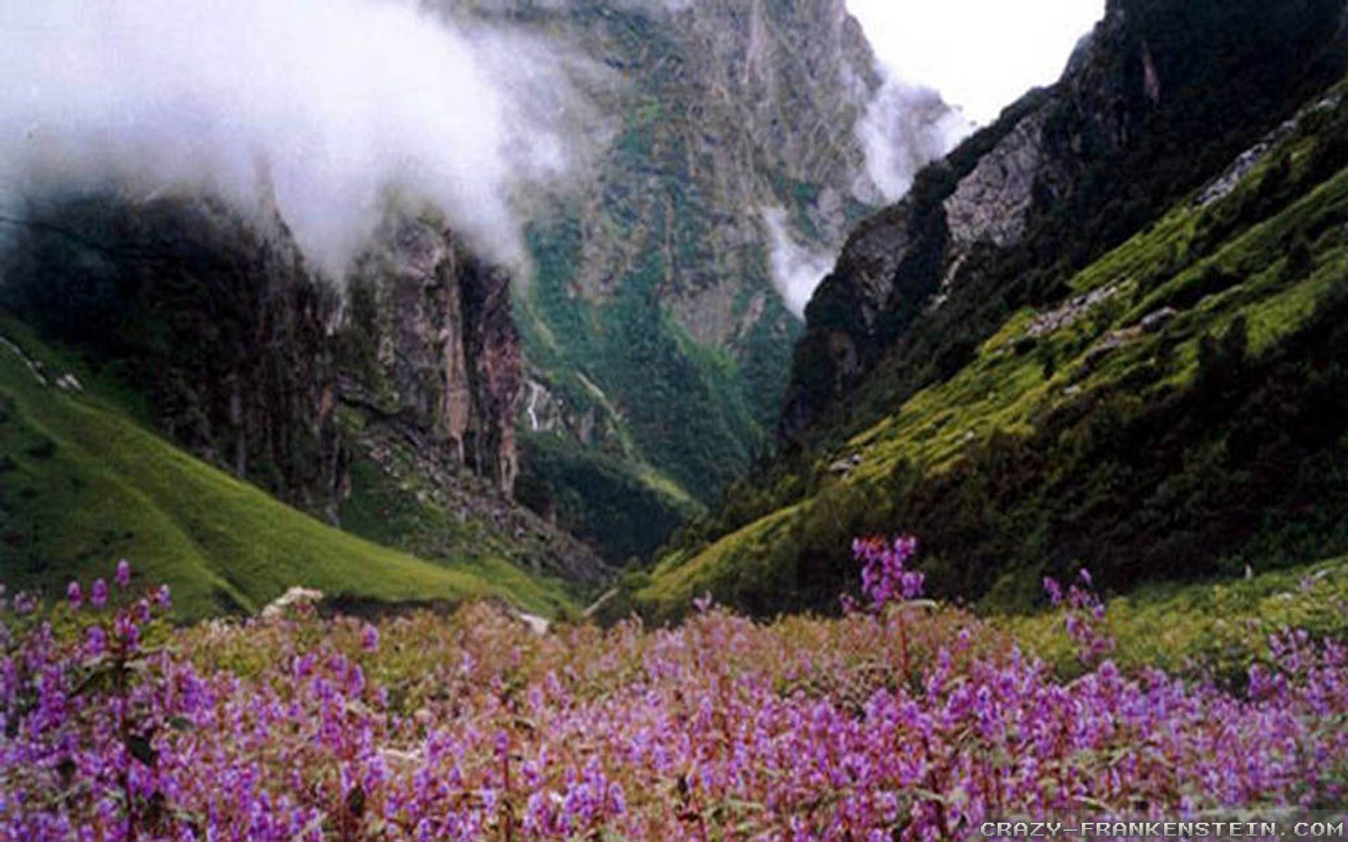 Nagaland Wallpapers - Wallpaper Cave