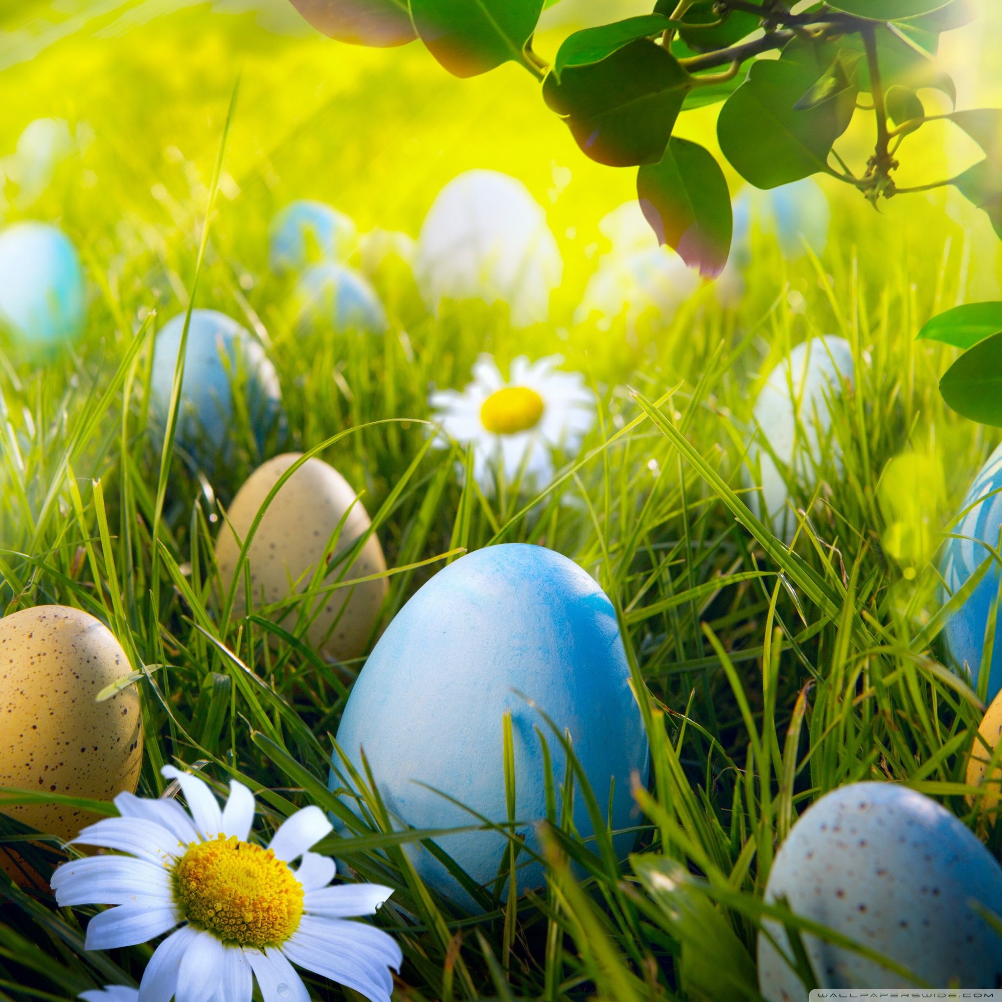 Easter 2048x2048 Wallpapers - Wallpaper Cave