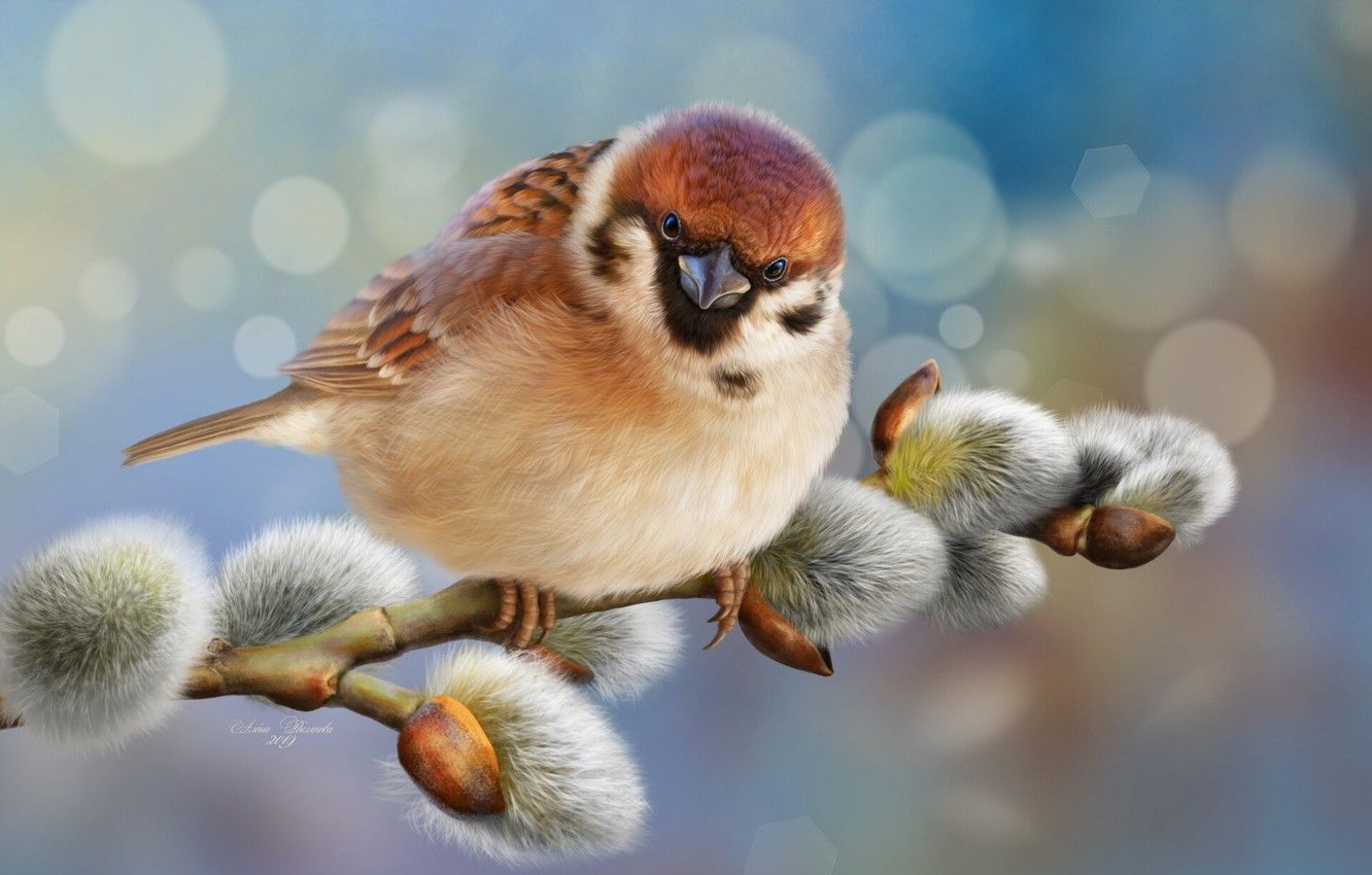 Sparrow Birds Spring Wallpapers - Wallpaper Cave