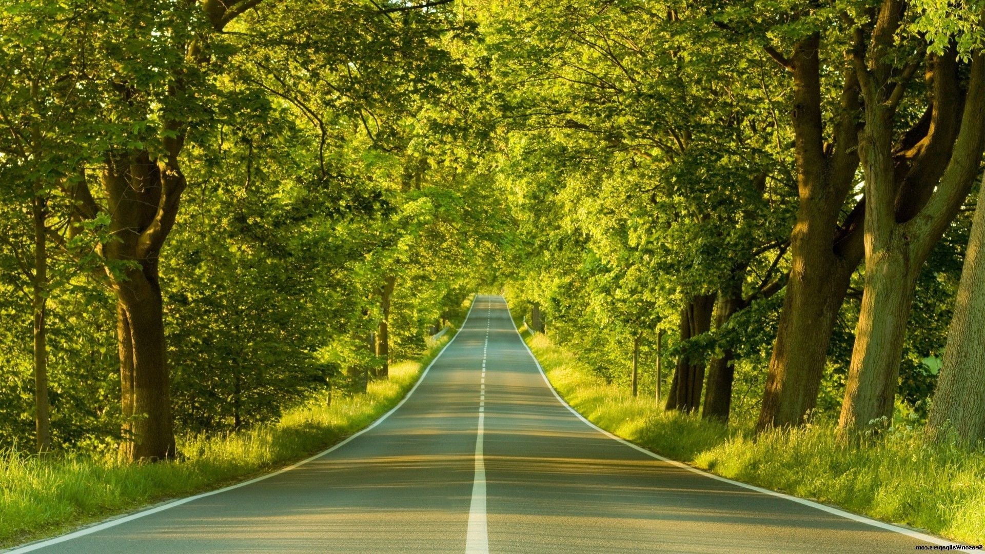 Spring Empty Road Wallpapers - Wallpaper Cave