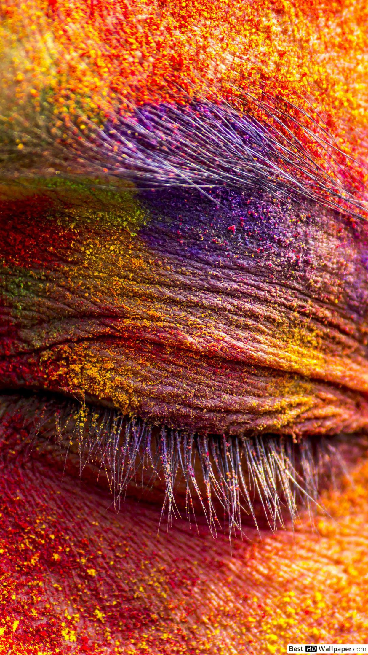 Holi Colour Face Wallpapers - Wallpaper Cave