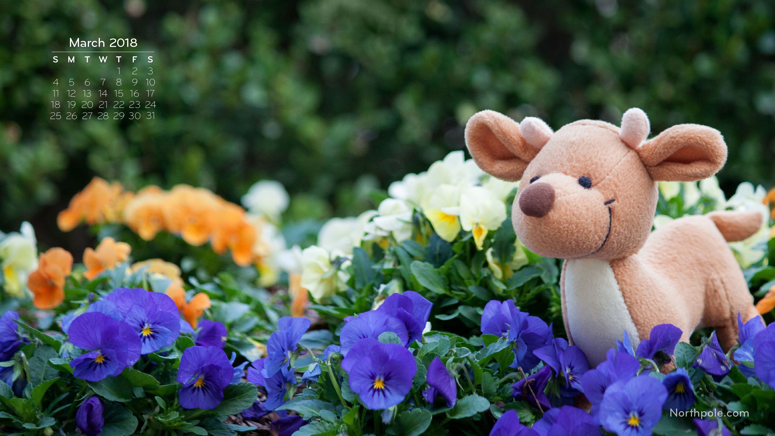 Teddy Bear Spring Wallpapers - Wallpaper Cave