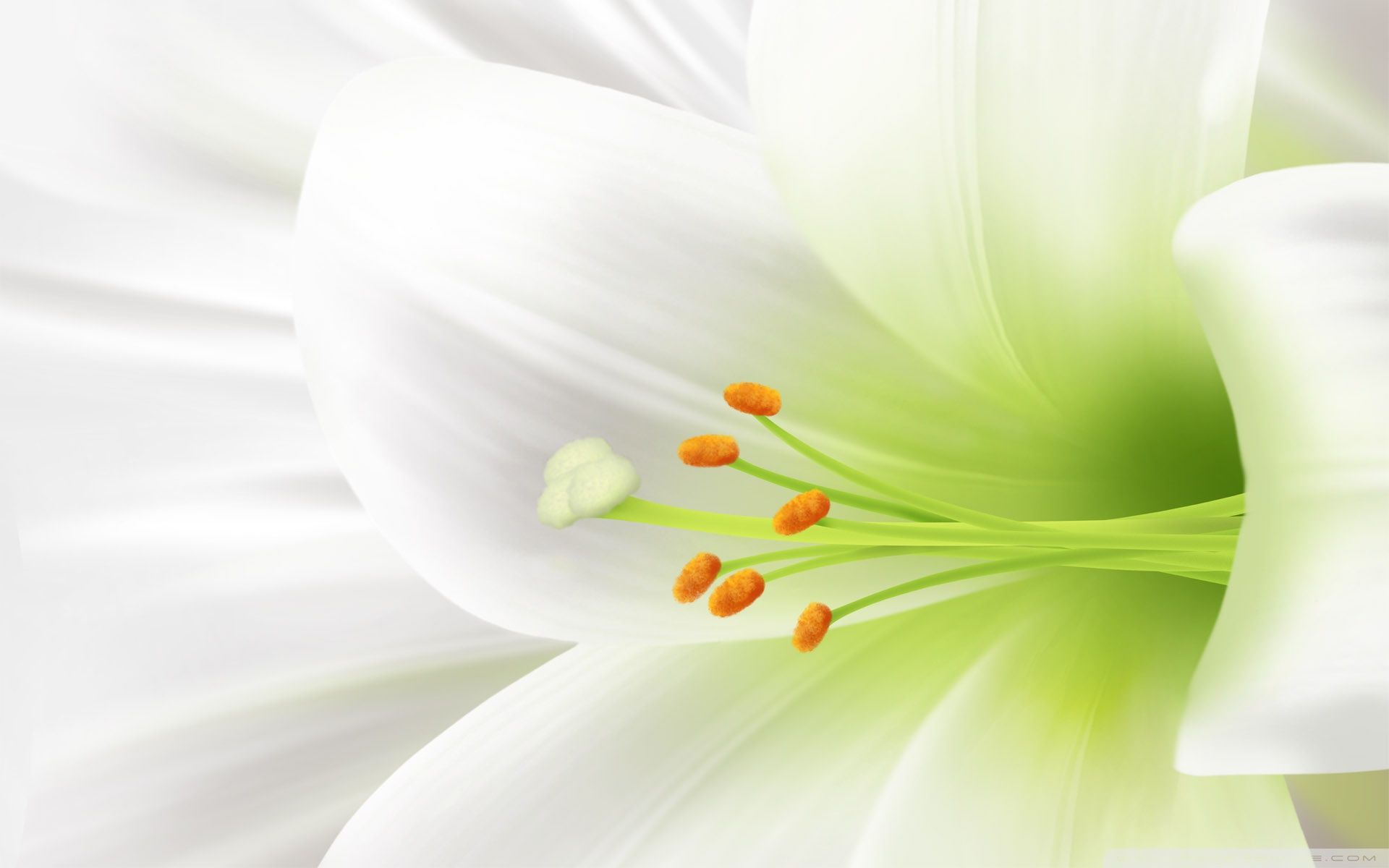 Easter Flowers Wallpapers - Wallpaper Cave