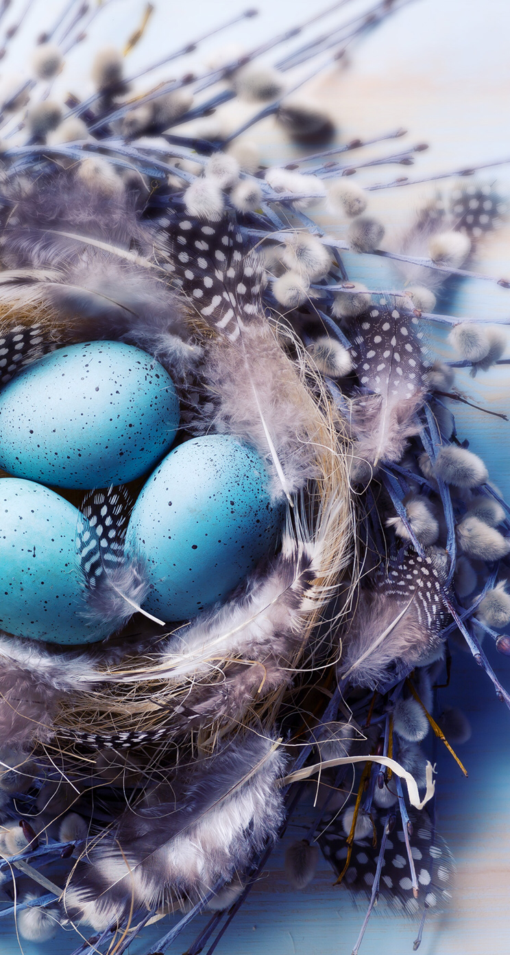 Teal Blue Easter Wallpapers - Wallpaper Cave