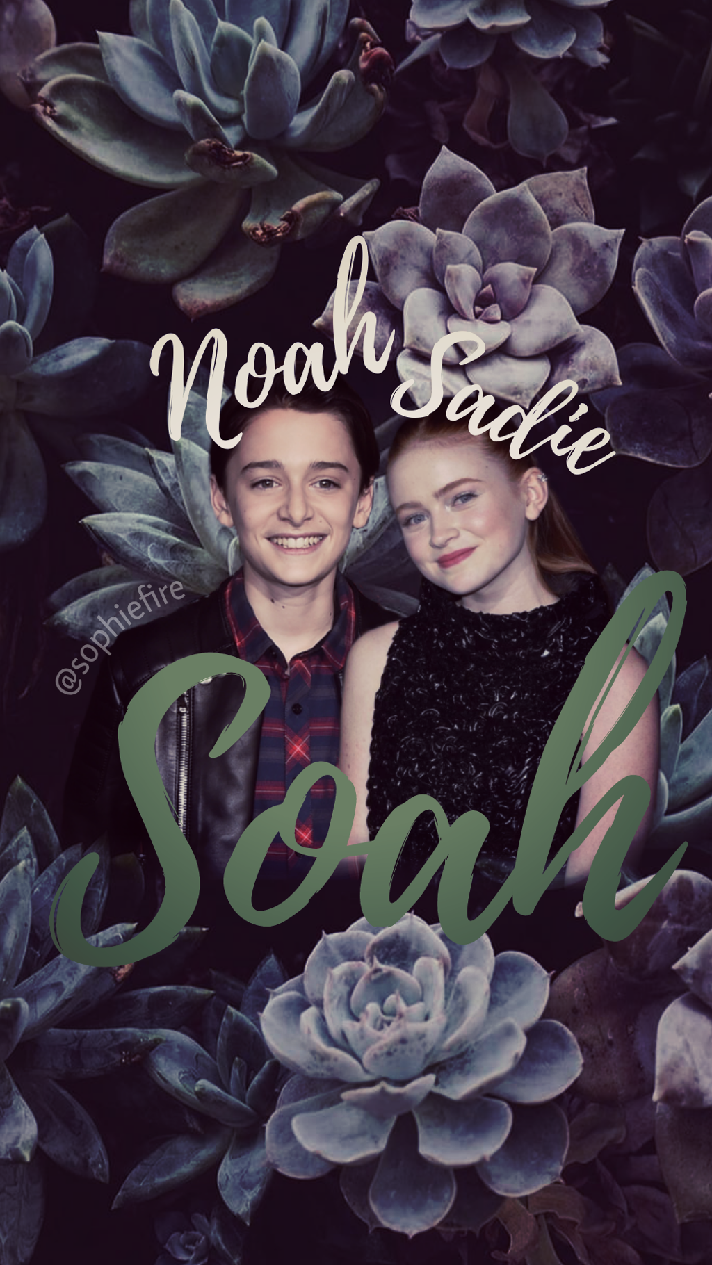 Noah Schnapp And Sadie Sink Wallpapers - Wallpaper Cave