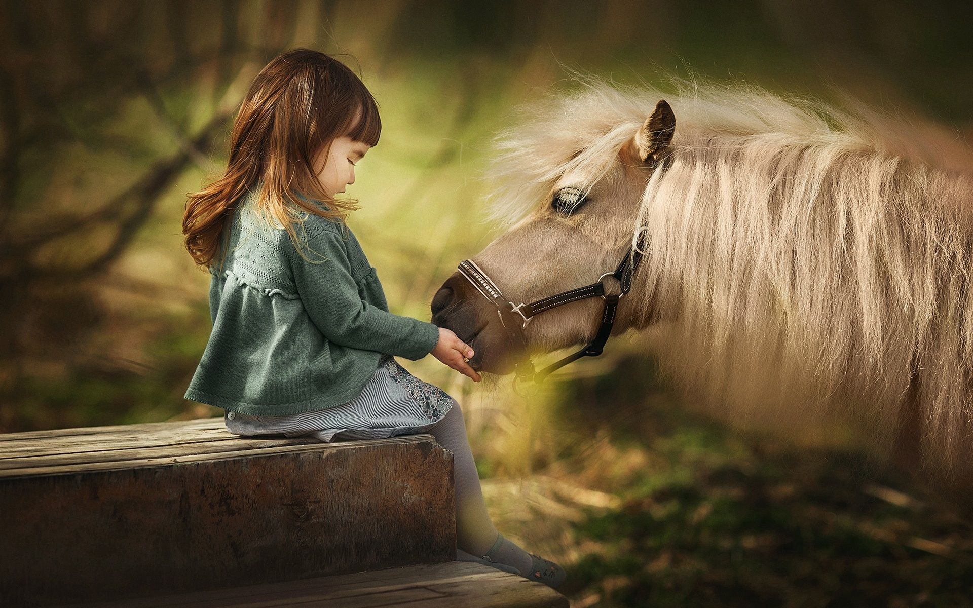 Little Girl And Horse Wallpapers - Wallpaper Cave