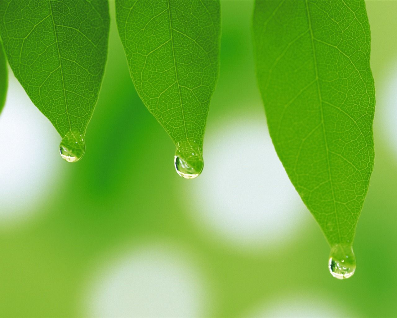 Eye Protection Wallpapers - Wallpaper Cave