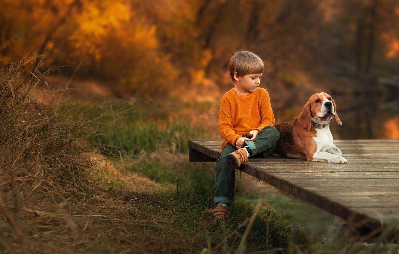 Boy And Dog Wallpapers - Wallpaper Cave