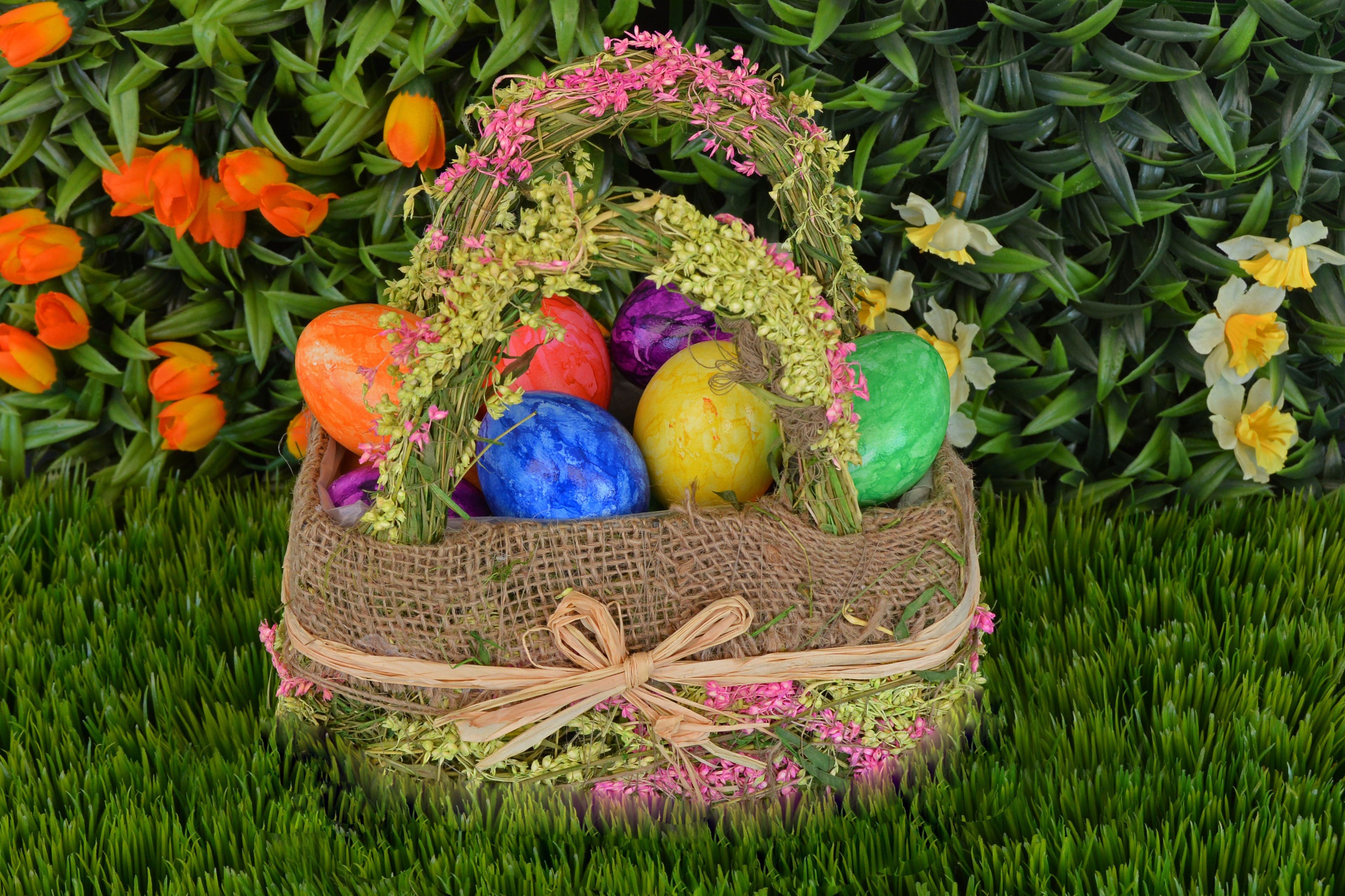 Easter Garden Wallpapers - Wallpaper Cave