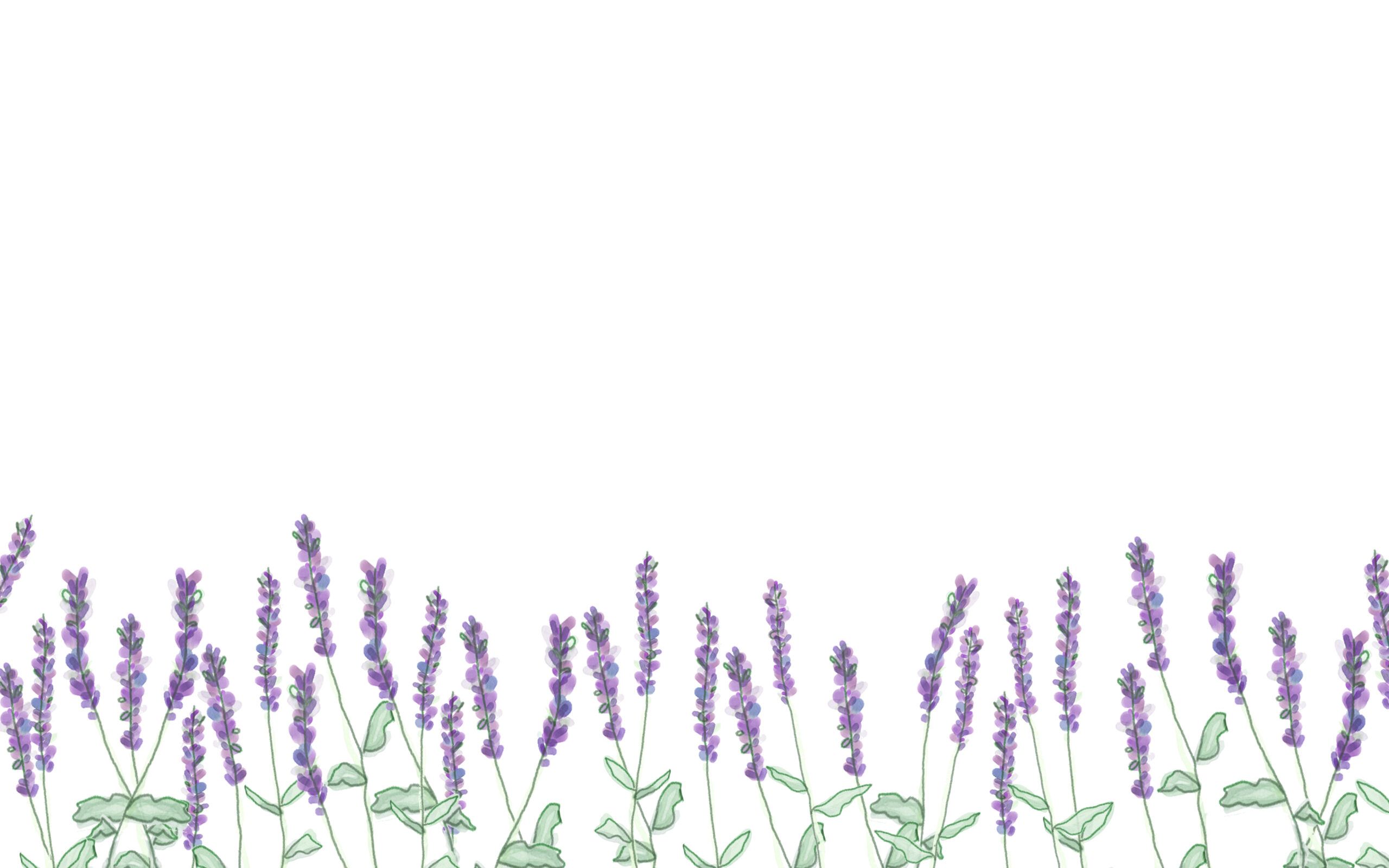Lavender Laptop Wallpapers - Wallpaper Cave