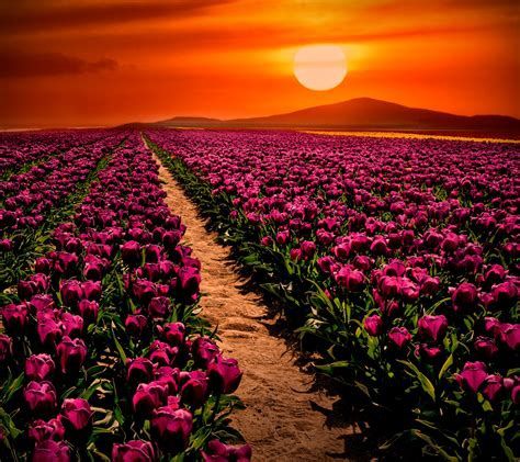 Spring Sunsets Wallpapers - Wallpaper Cave
