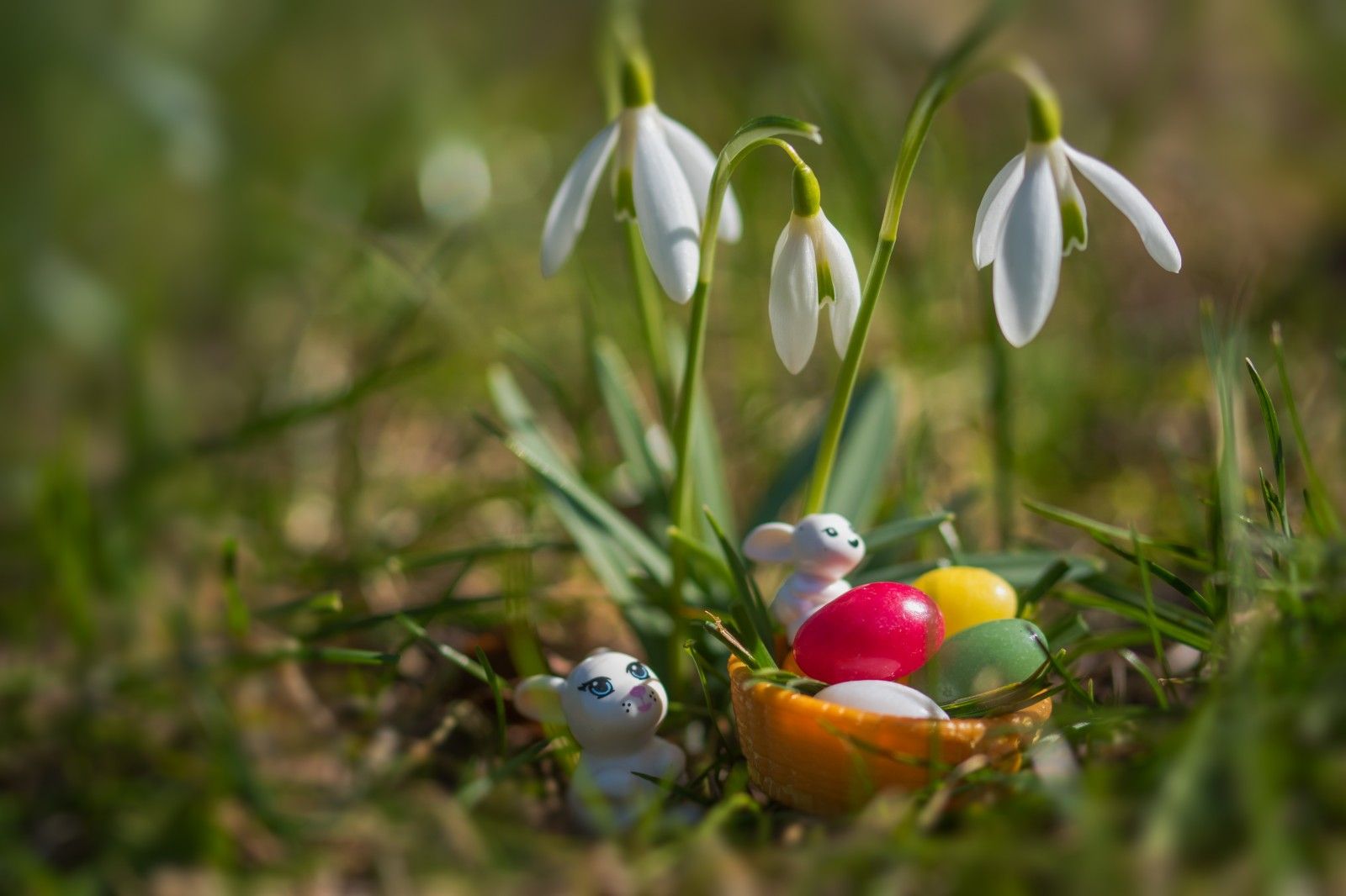 Spring Eggs Wallpapers - Wallpaper Cave