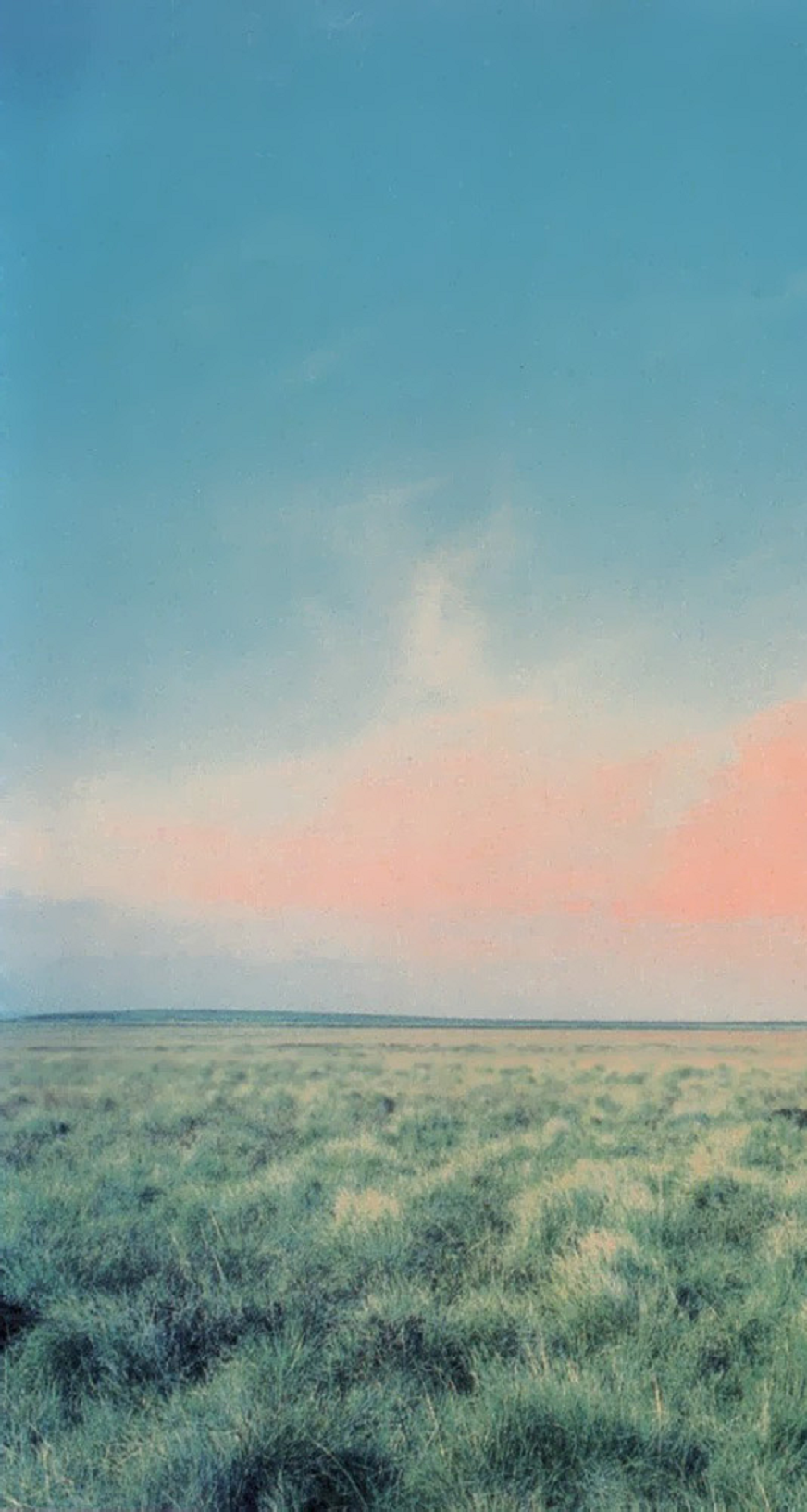 Oasis Phone Wallpapers - Wallpaper Cave