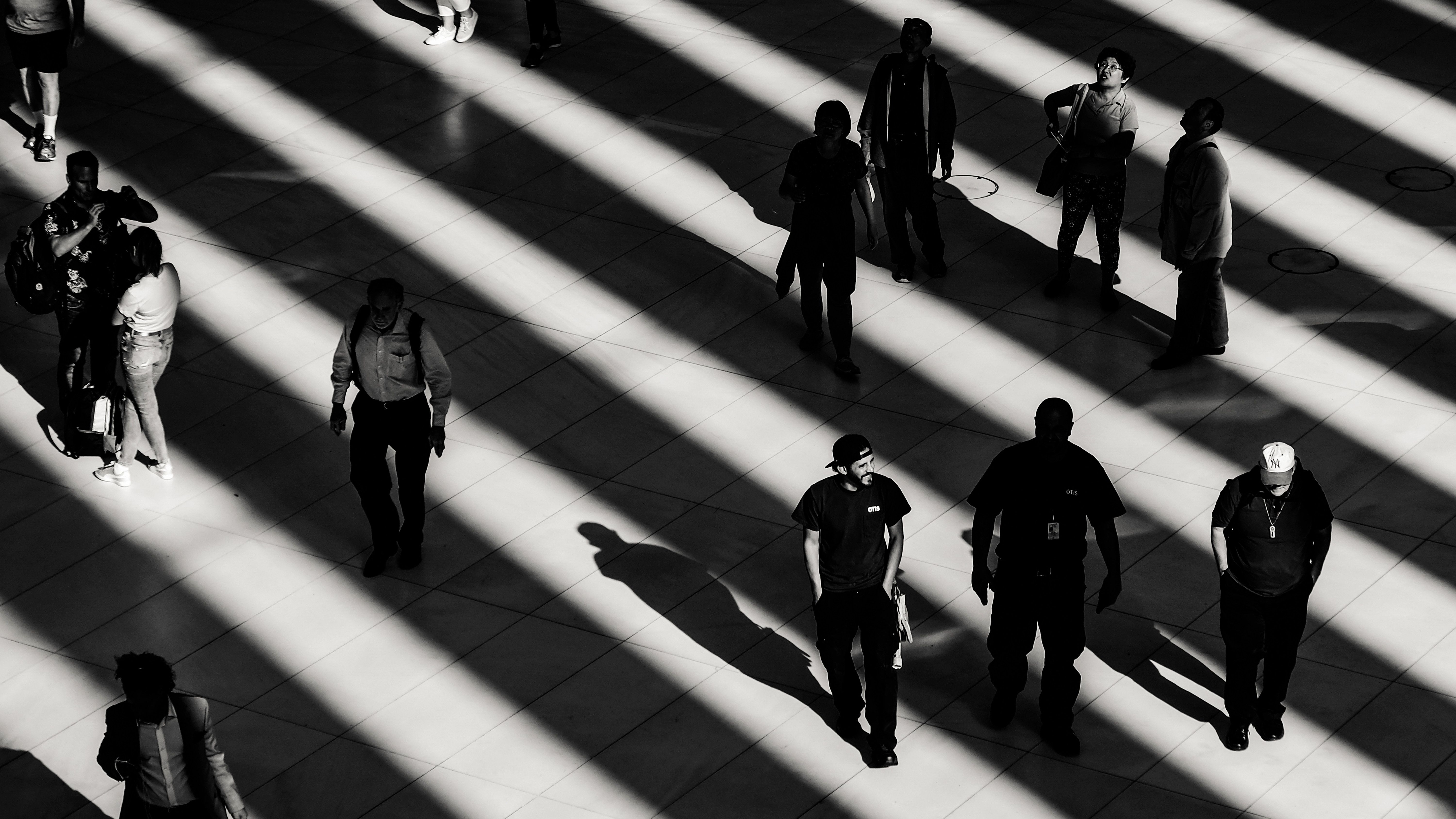 White Shadow Wallpapers - Wallpaper Cave