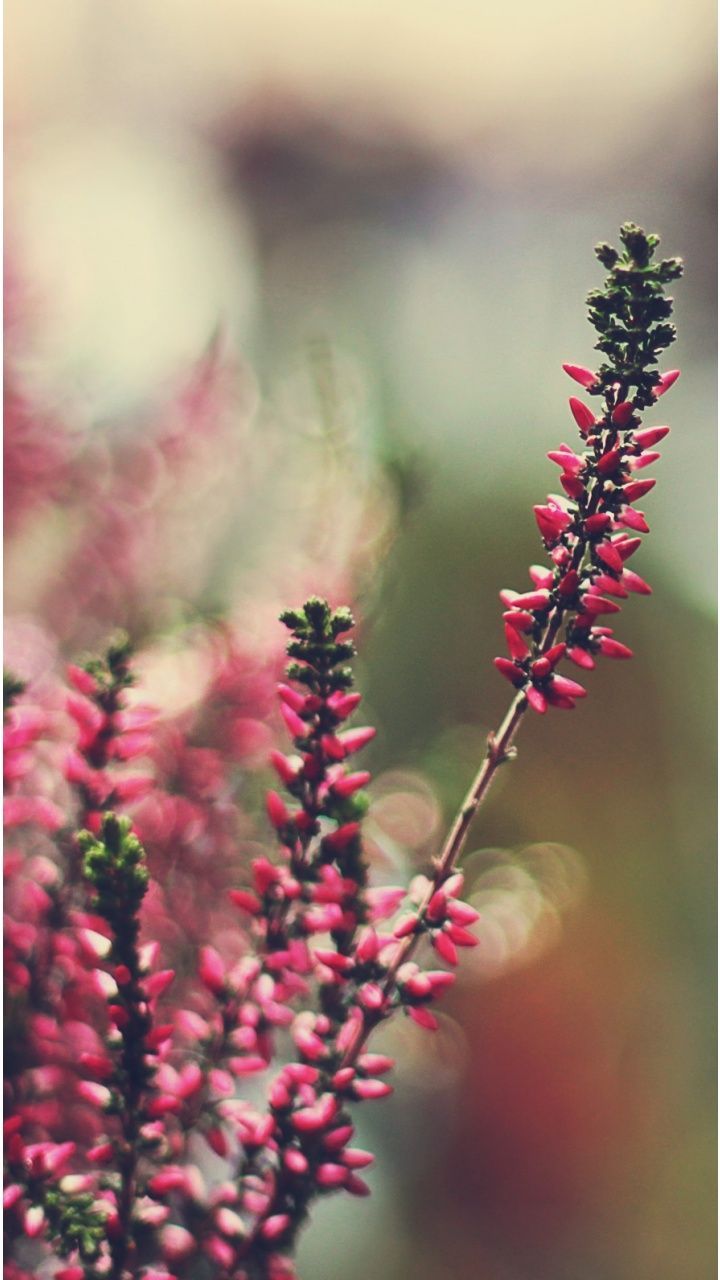 Spring Feeling Wallpapers - Wallpaper Cave