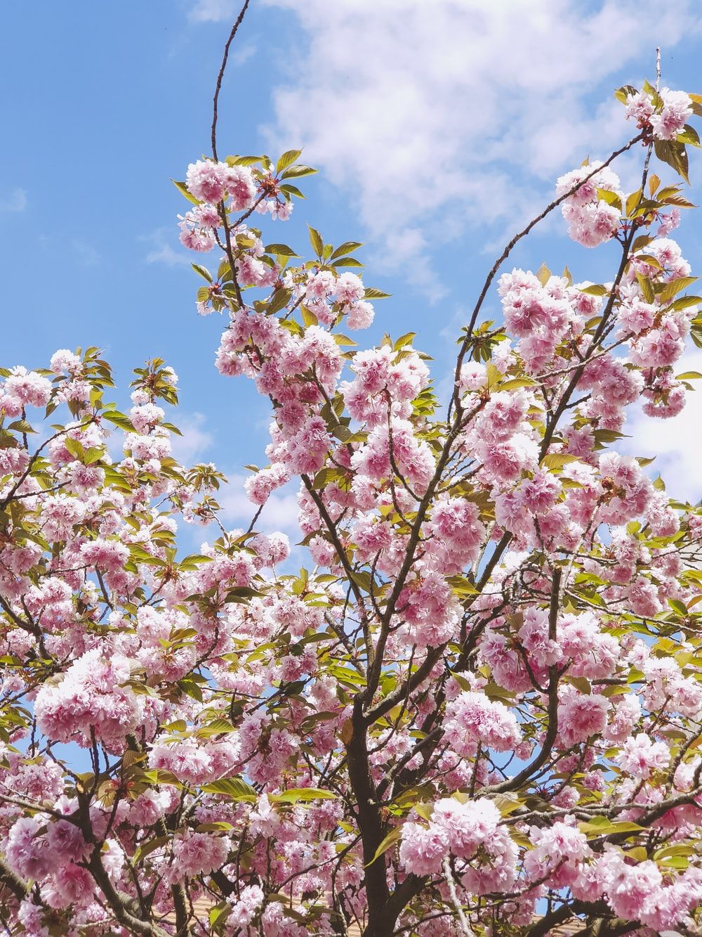 Spring Feeling Wallpapers - Wallpaper Cave