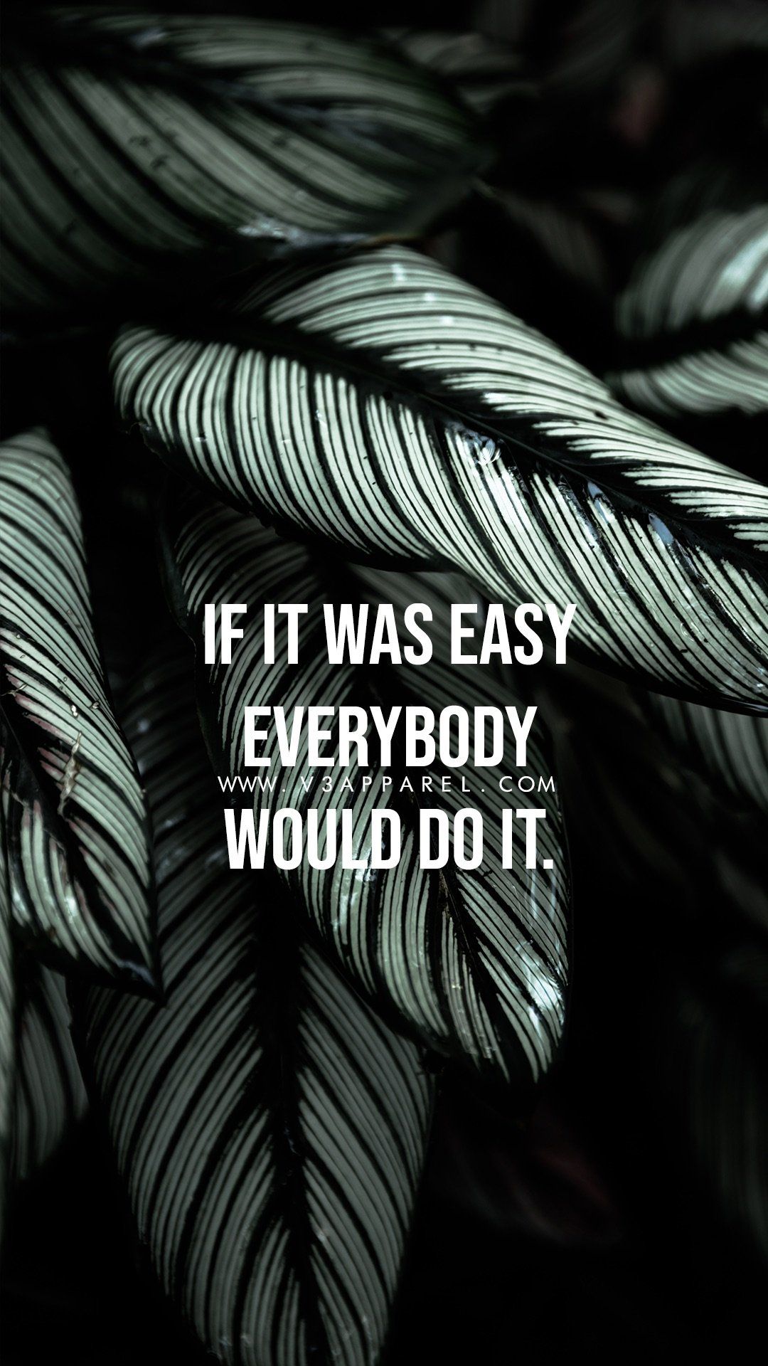 Distraction Wallpapers - Wallpaper Cave