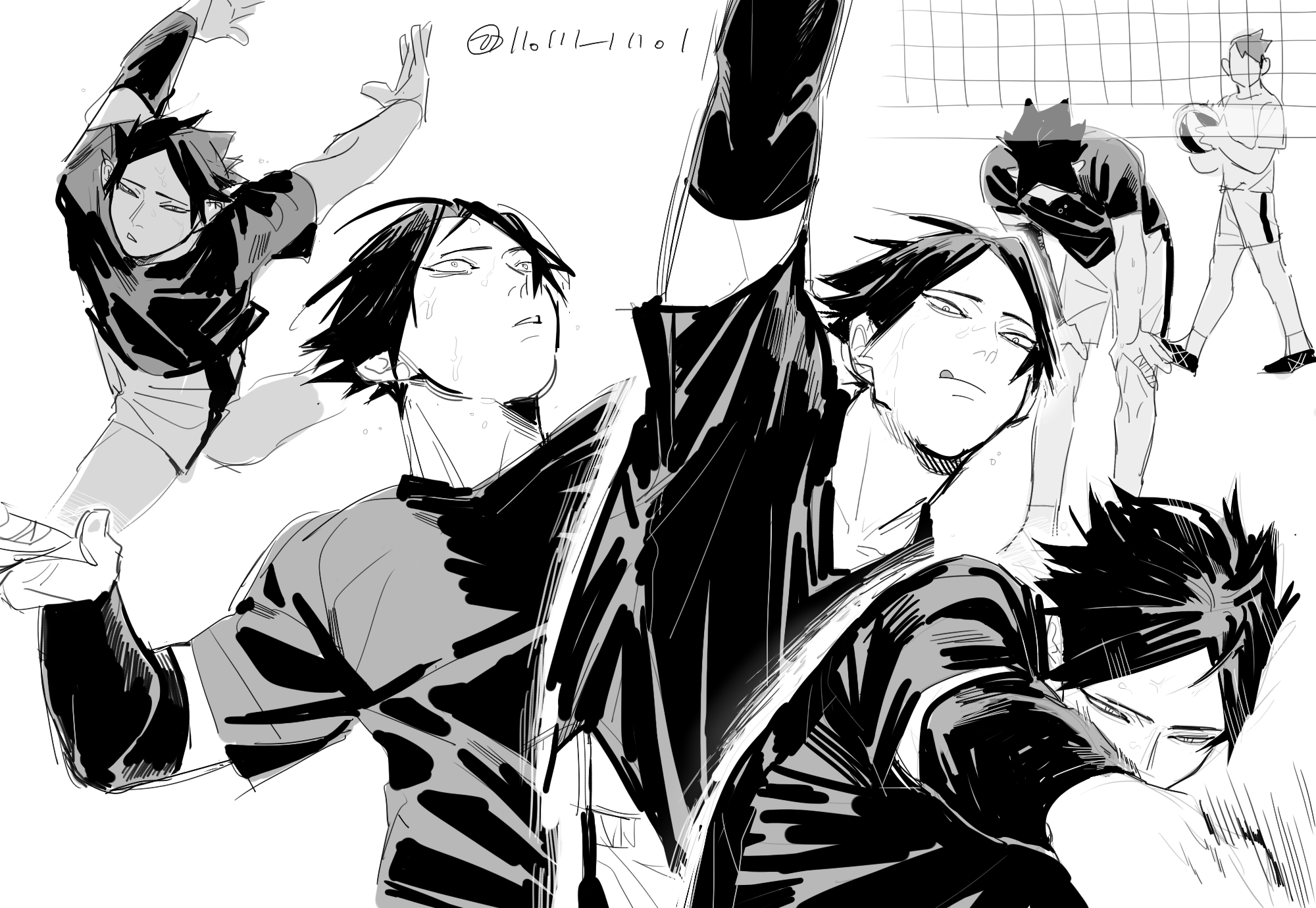 Suna Desktop Wallpapers - Wallpaper Cave