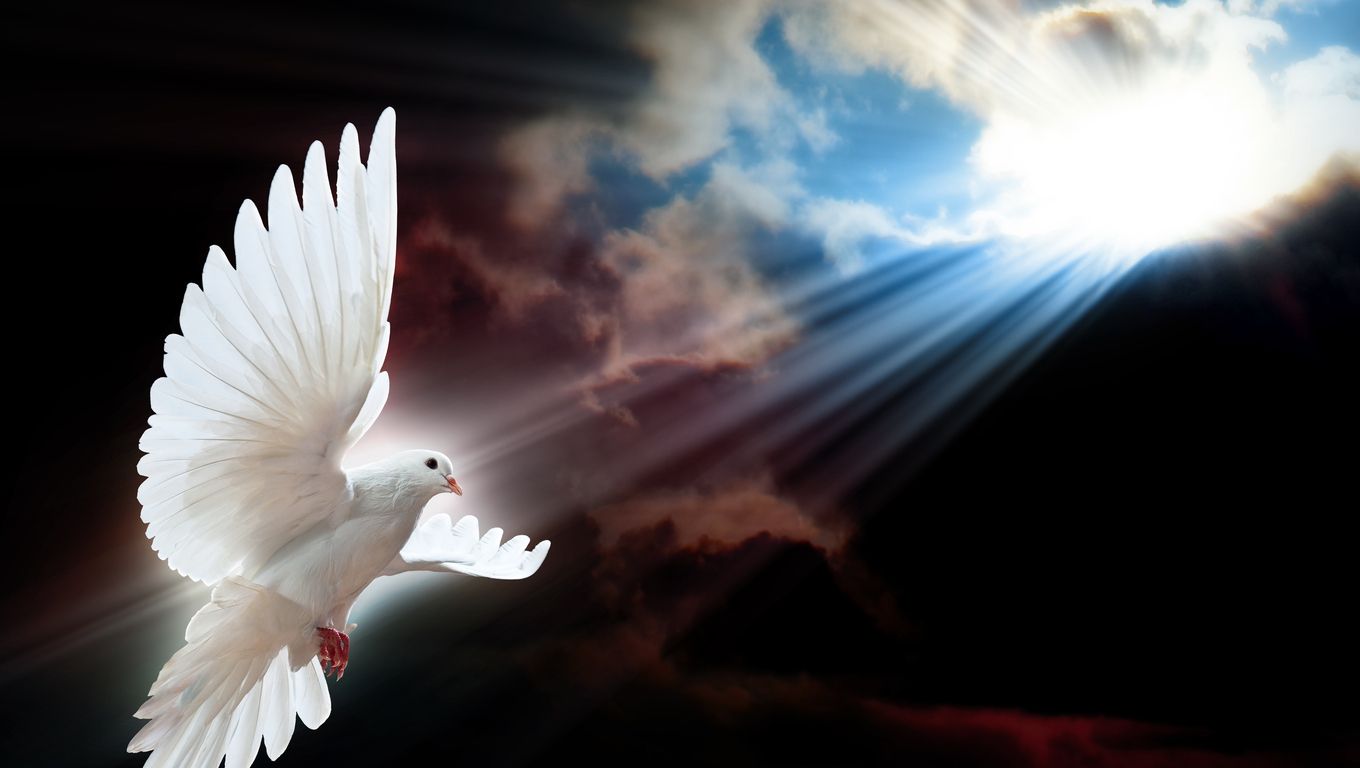 Easter Dove Wallpapers - Wallpaper Cave