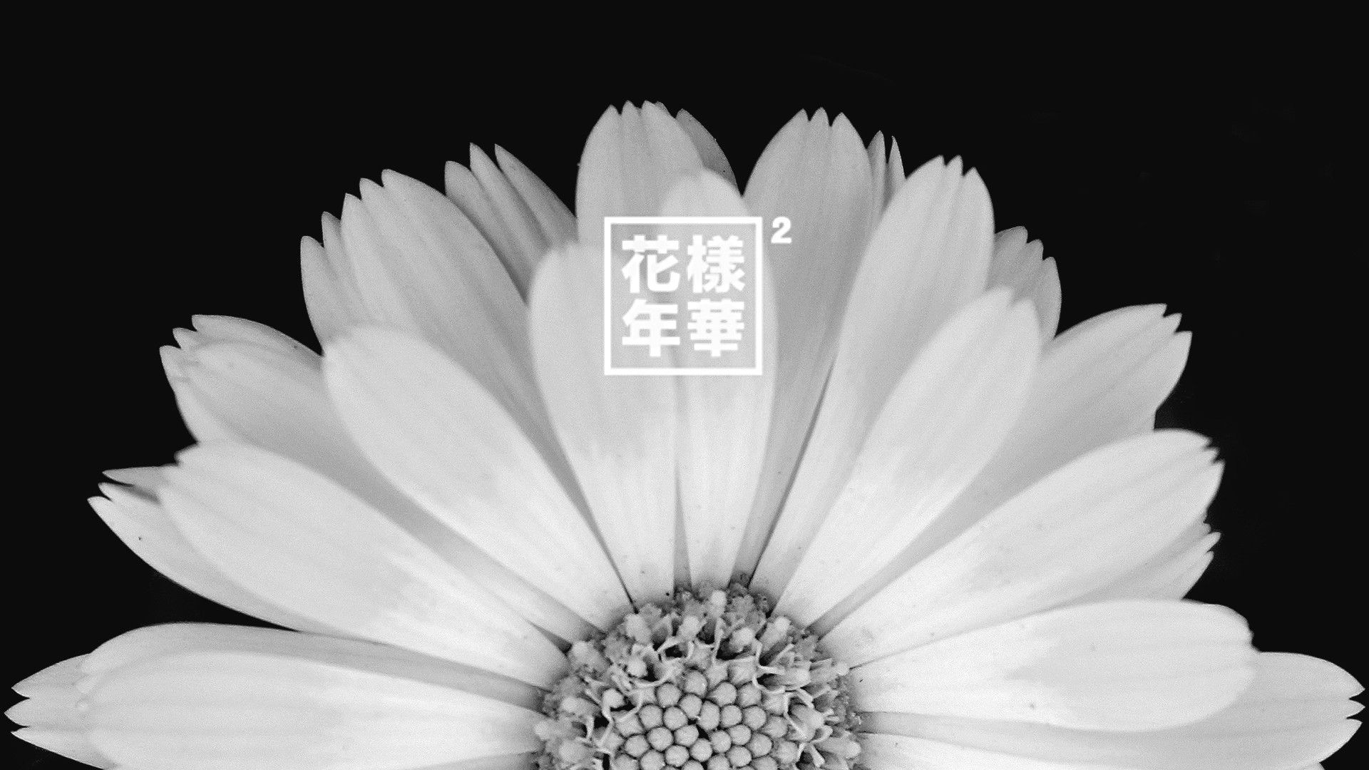 BTS Simple Wallpapers - Wallpaper Cave