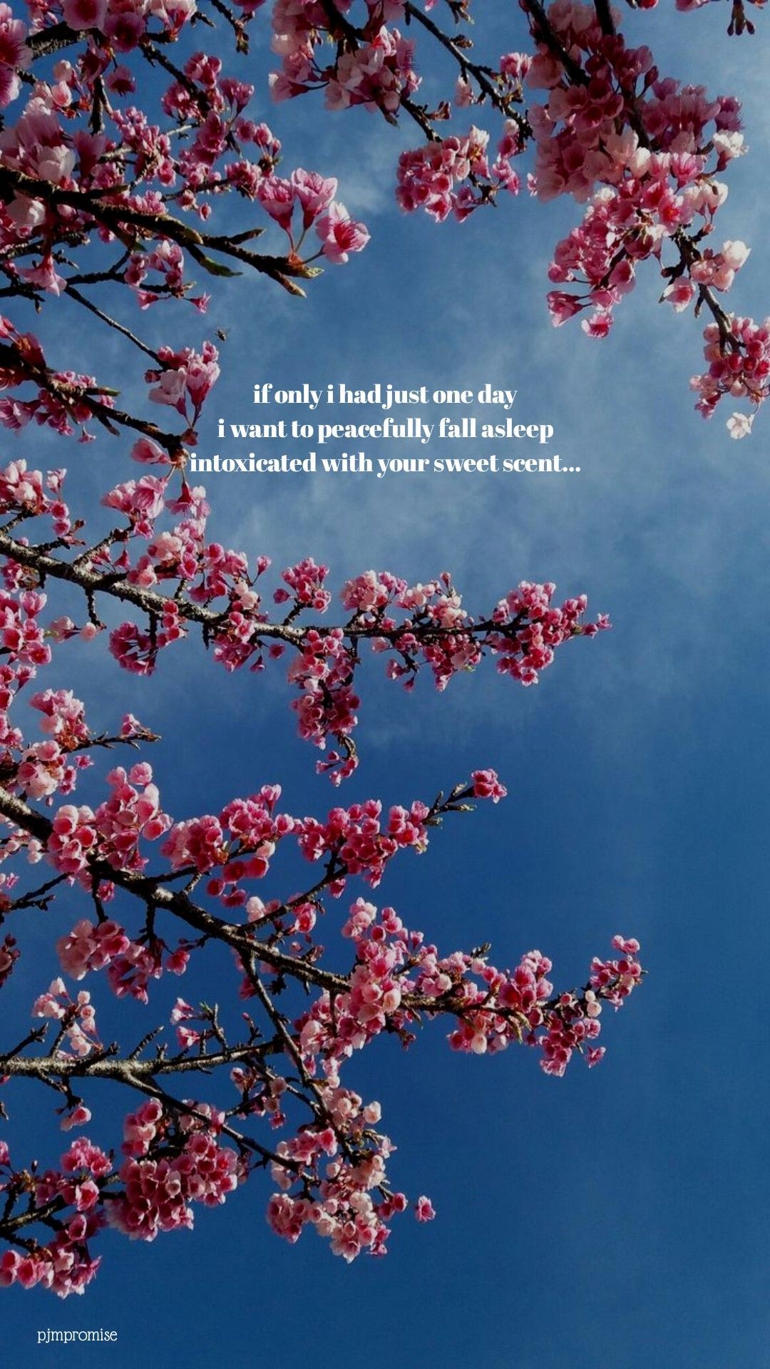 BTS Phone Spring Wallpapers - Wallpaper Cave