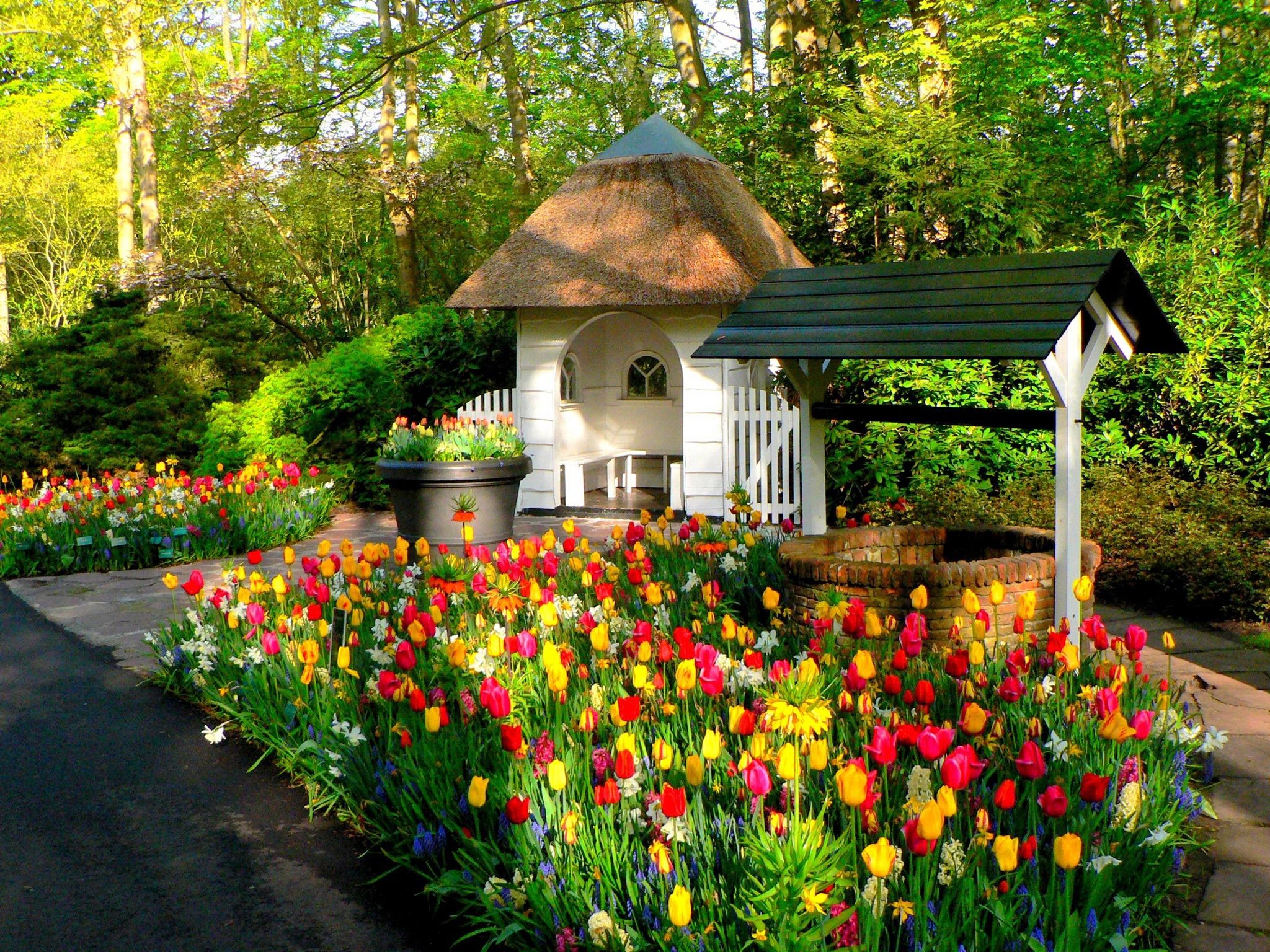Spring Netherlands Wallpapers - Wallpaper Cave
