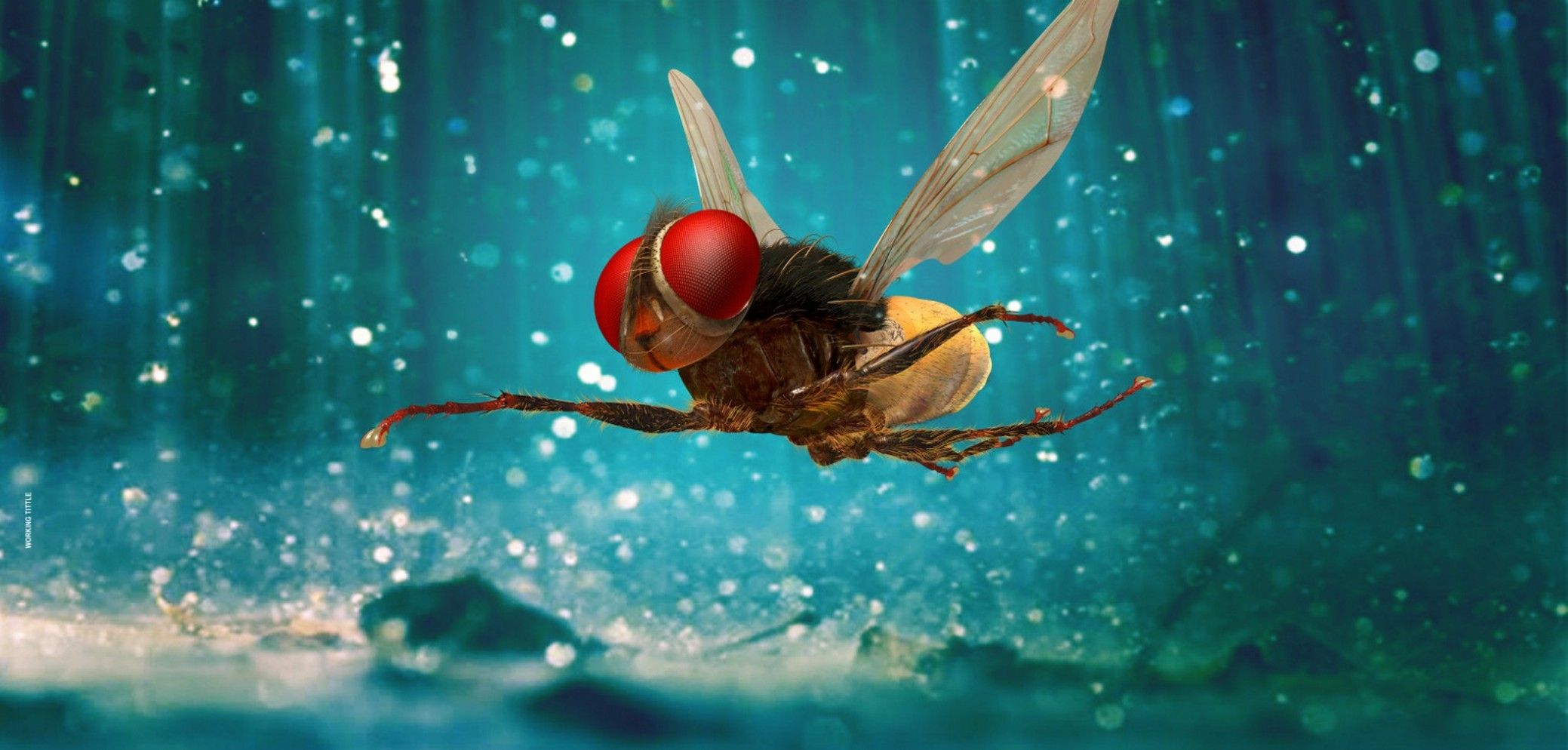 Eega Movie Wallpapers - Wallpaper Cave