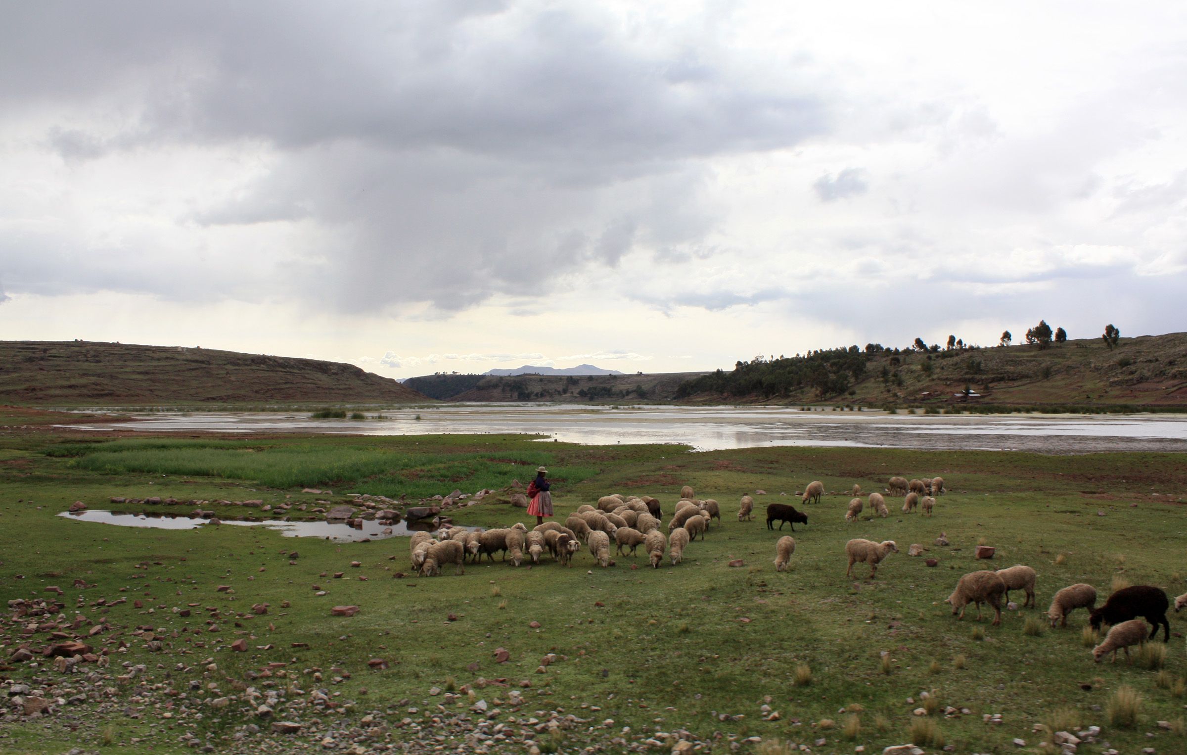 Puno Wallpapers - Wallpaper Cave