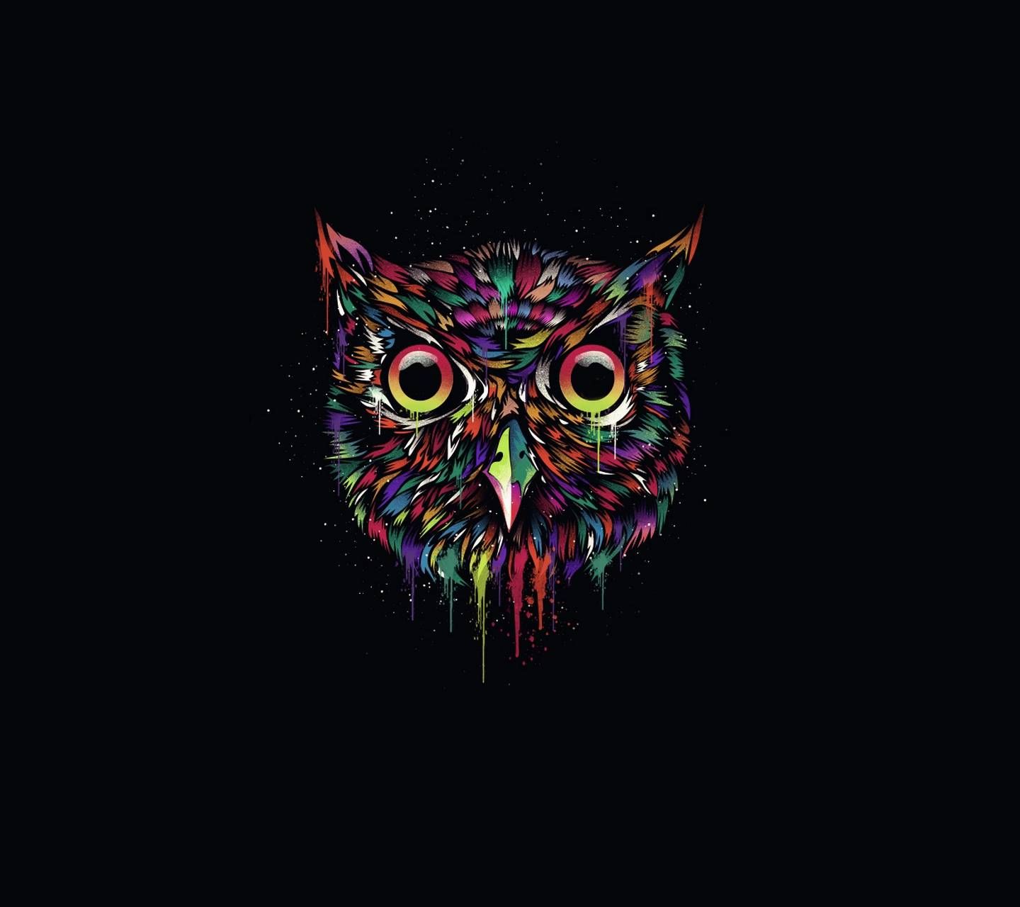Summer Owl Wallpapers - Wallpaper Cave