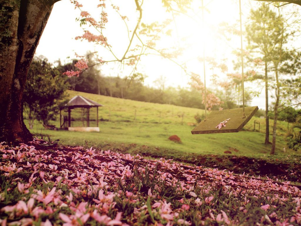 Spring Swing Wallpapers - Wallpaper Cave