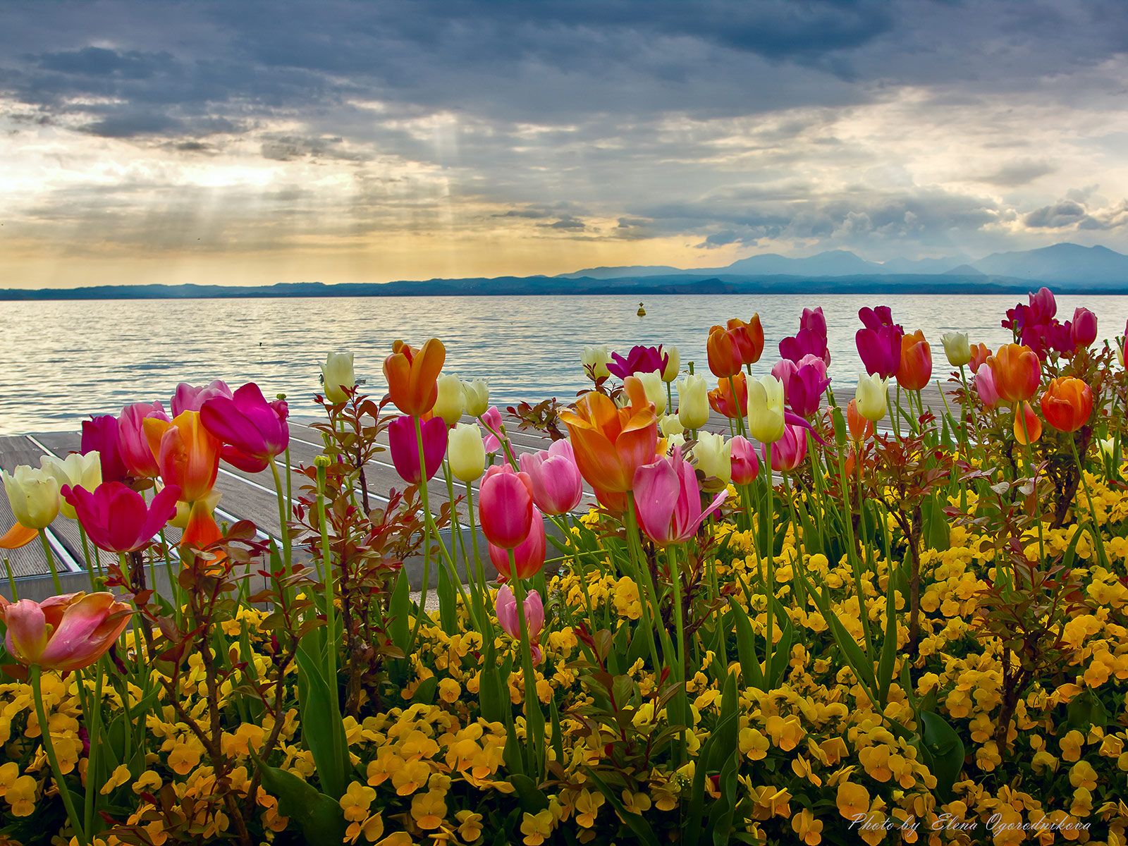 Spring Lake Sunsets Wallpapers - Wallpaper Cave