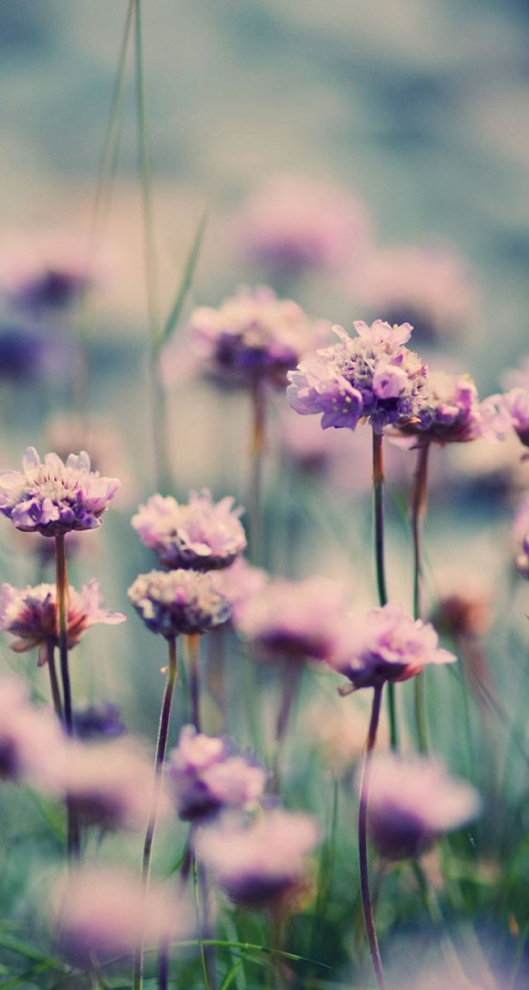 Summer Rustic Wallpapers - Wallpaper Cave