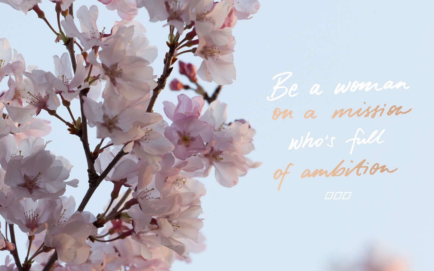 Spring Inspiration Wallpapers - Wallpaper Cave