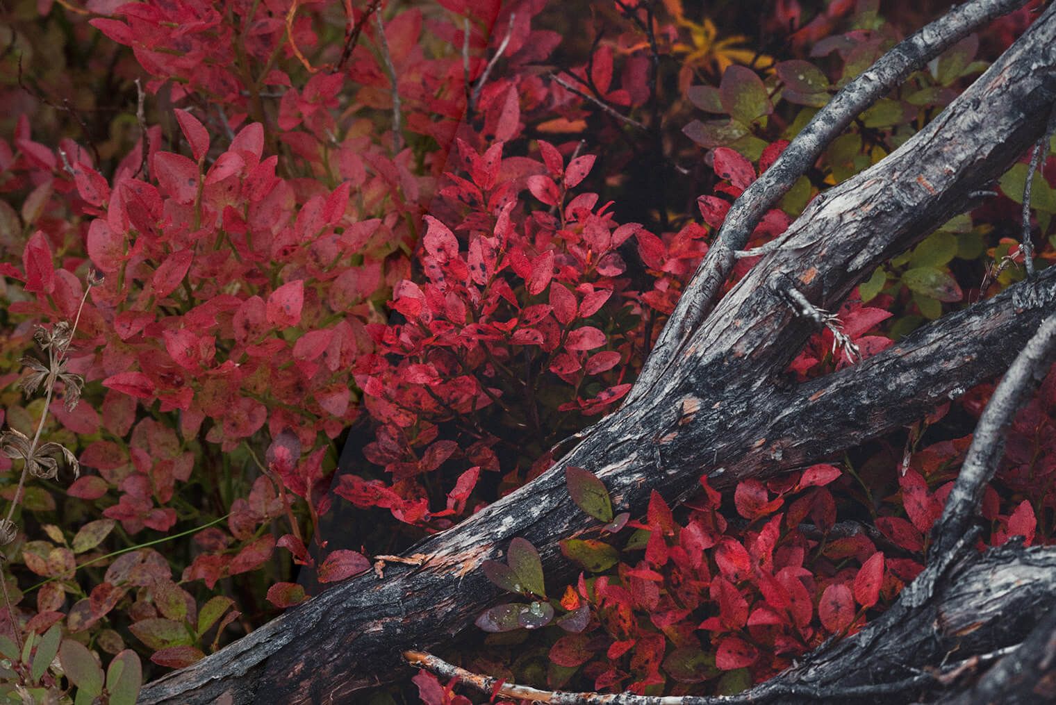 Lightroom Presets Wallpapers - Wallpaper Cave