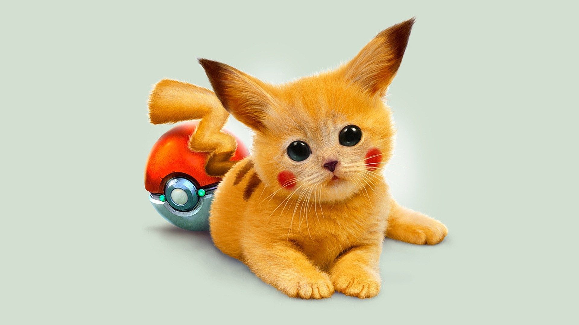 Cat Pokémon Wallpapers - Wallpaper Cave