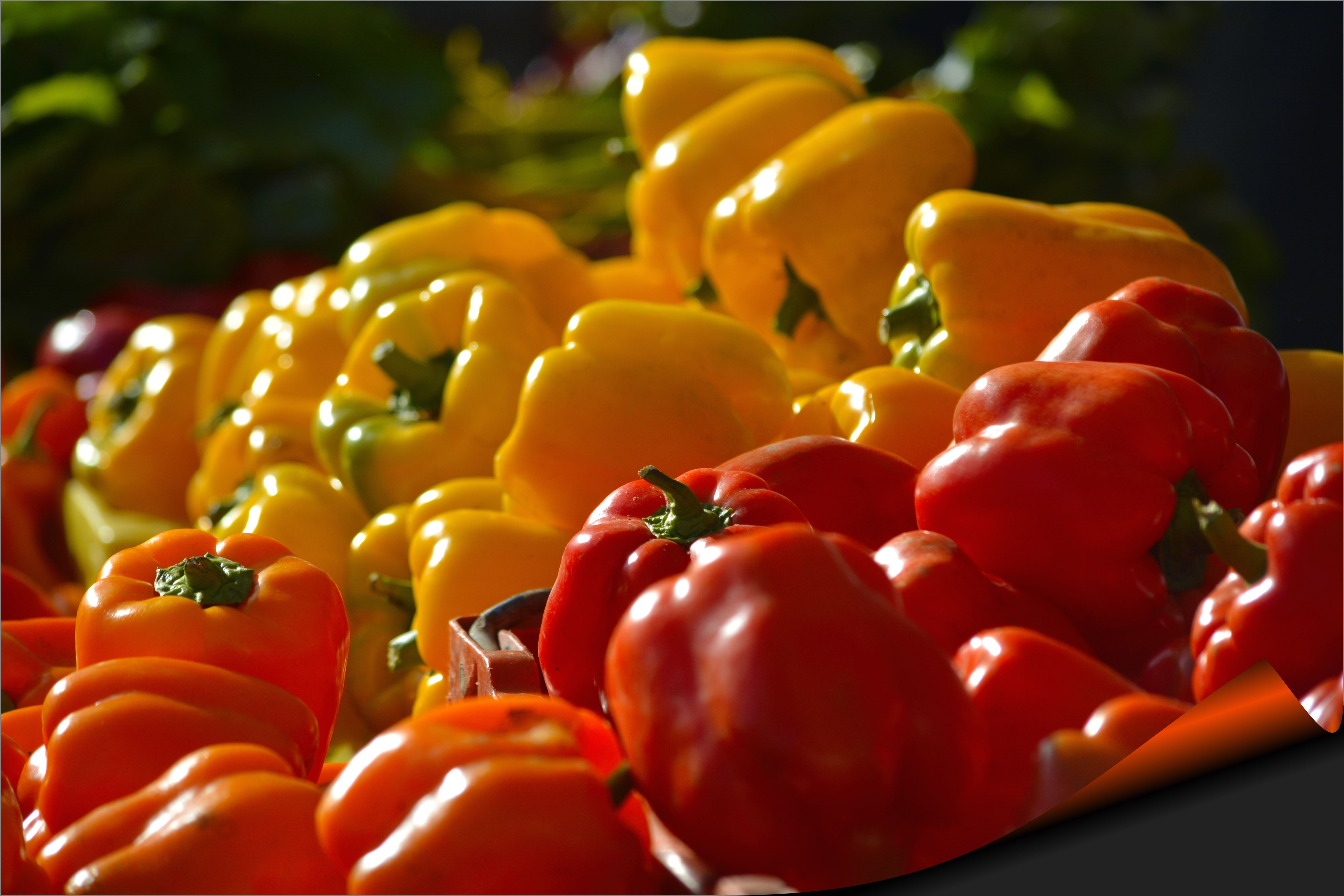 Bell Pepper Wallpapers - Wallpaper Cave