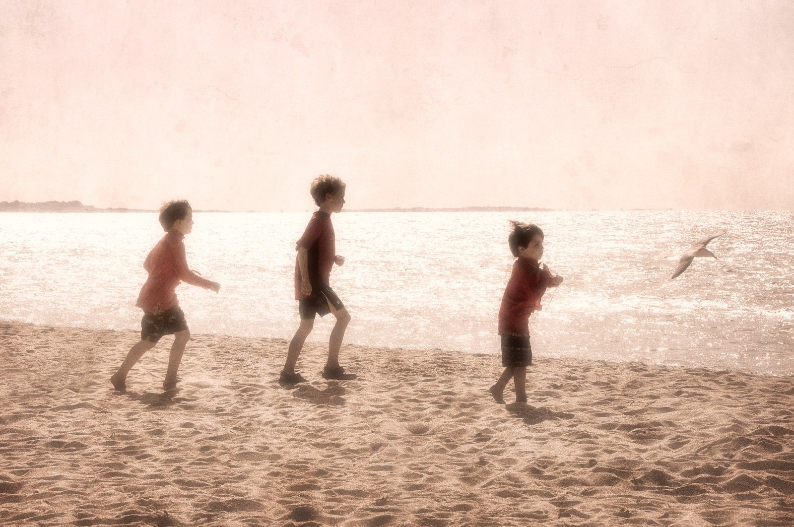 Friends In Summer Wallpapers - Wallpaper Cave
